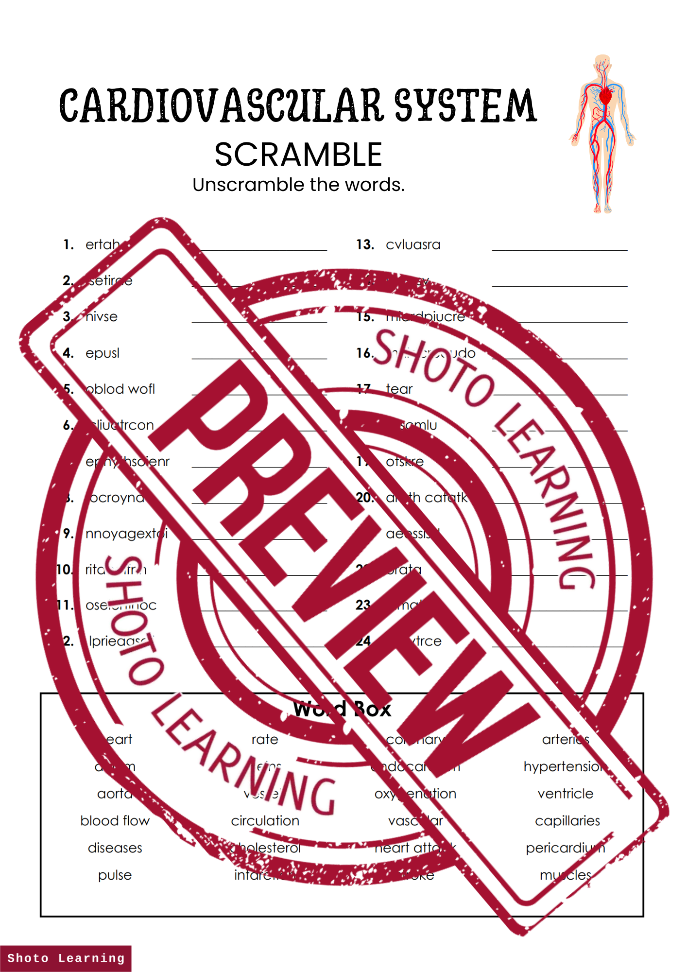 Cardiovascular System Word Scramble: A Fun and Educational Way to Learn