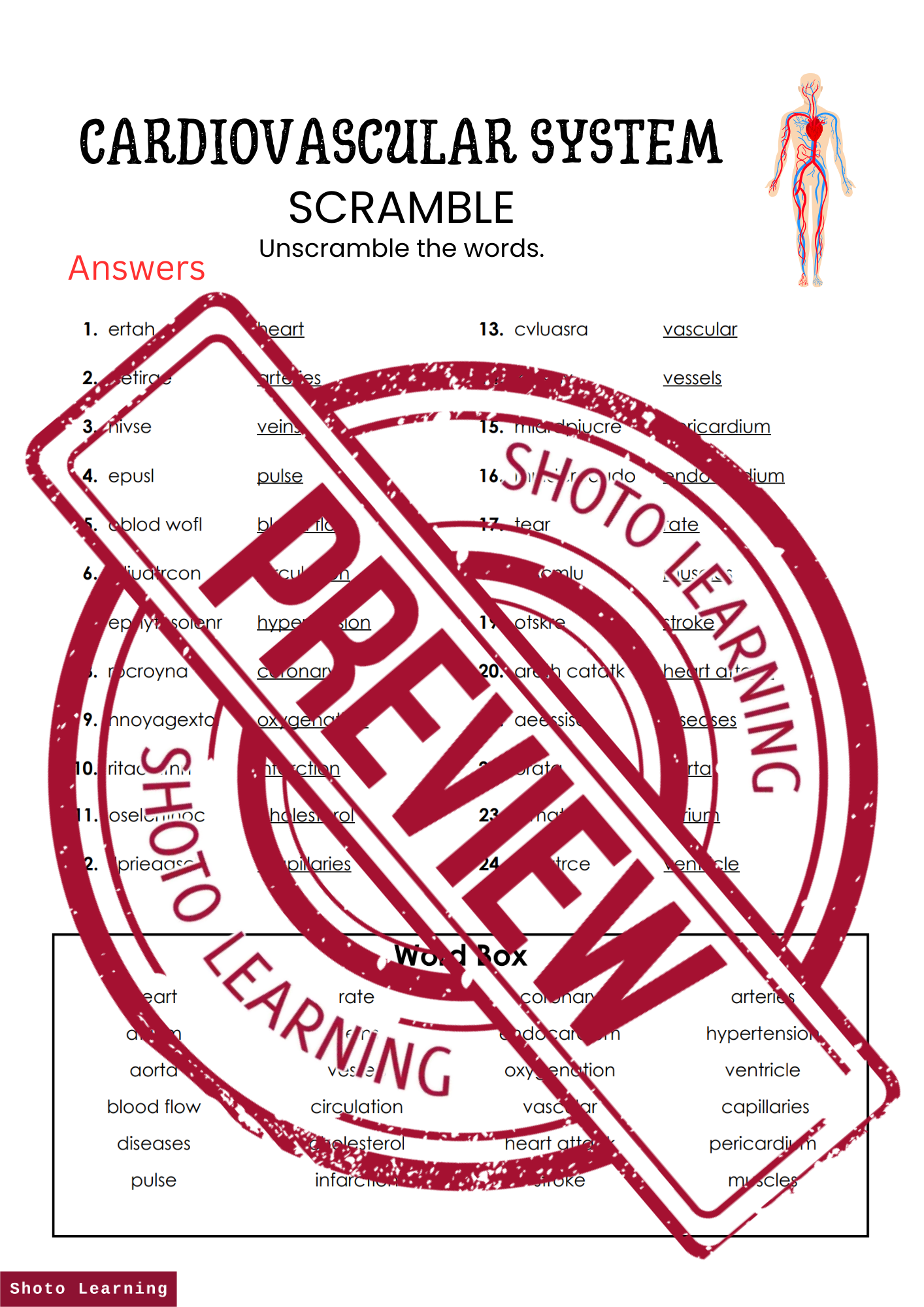 Cardiovascular System Matching Game: A Great Way to Review for Tests ...