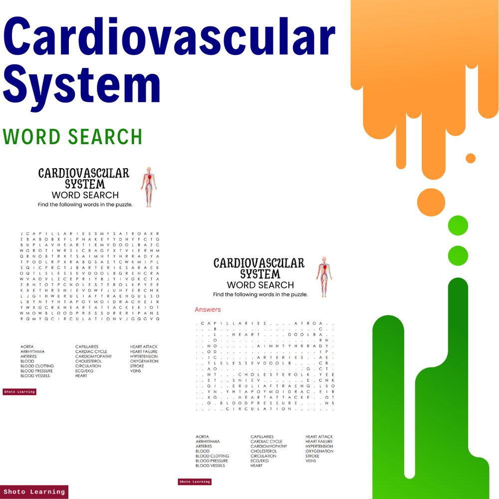 Cardiovascular System Fill-in-the-Blanks: Heart, Blood Vessels, and ...