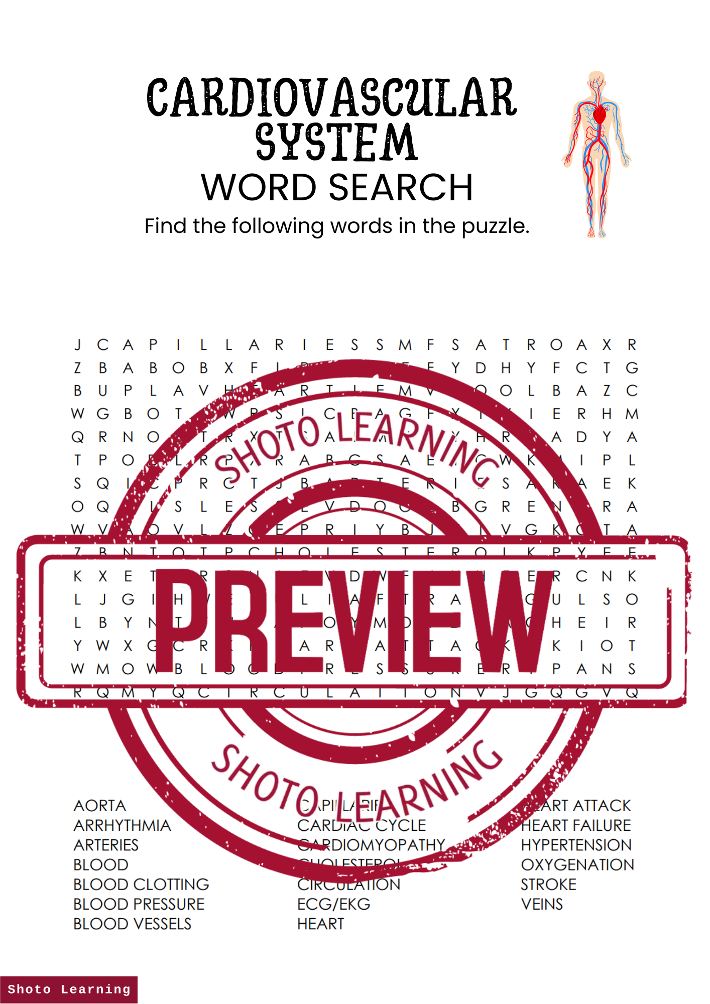 Cardiovascular System Word Search: Circulatory System Challenge — Shoto ...