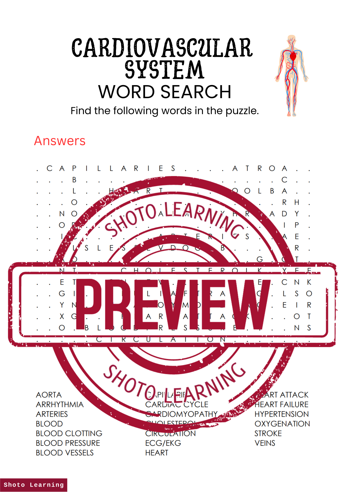 CARDIOVASCULAR SYSTEM SCIENCE ACTIVITY - SCRAMBLE WORDS VOCABULARY WORD ...