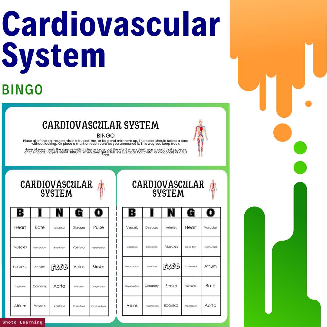 Cardiovascular System Bingo: A Great Way to Review Anatomy and ...
