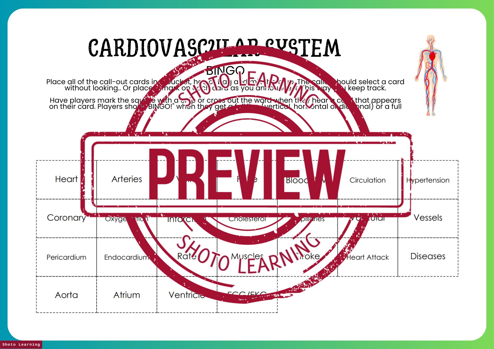 Cardiovascular System ABC Order Worksheet: Engaging Learning for Heart ...