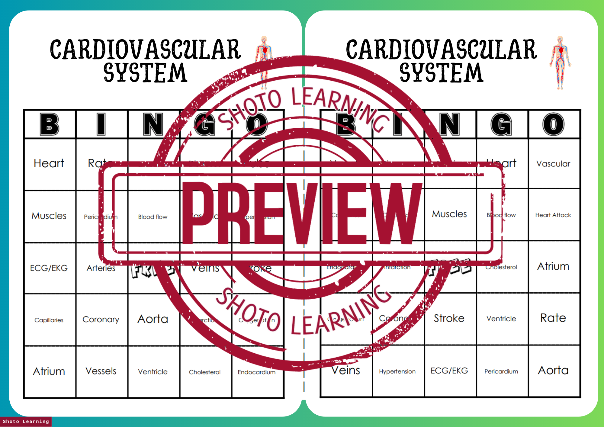 Cardiovascular System ABC Order Worksheet: Engaging Learning for Heart ...