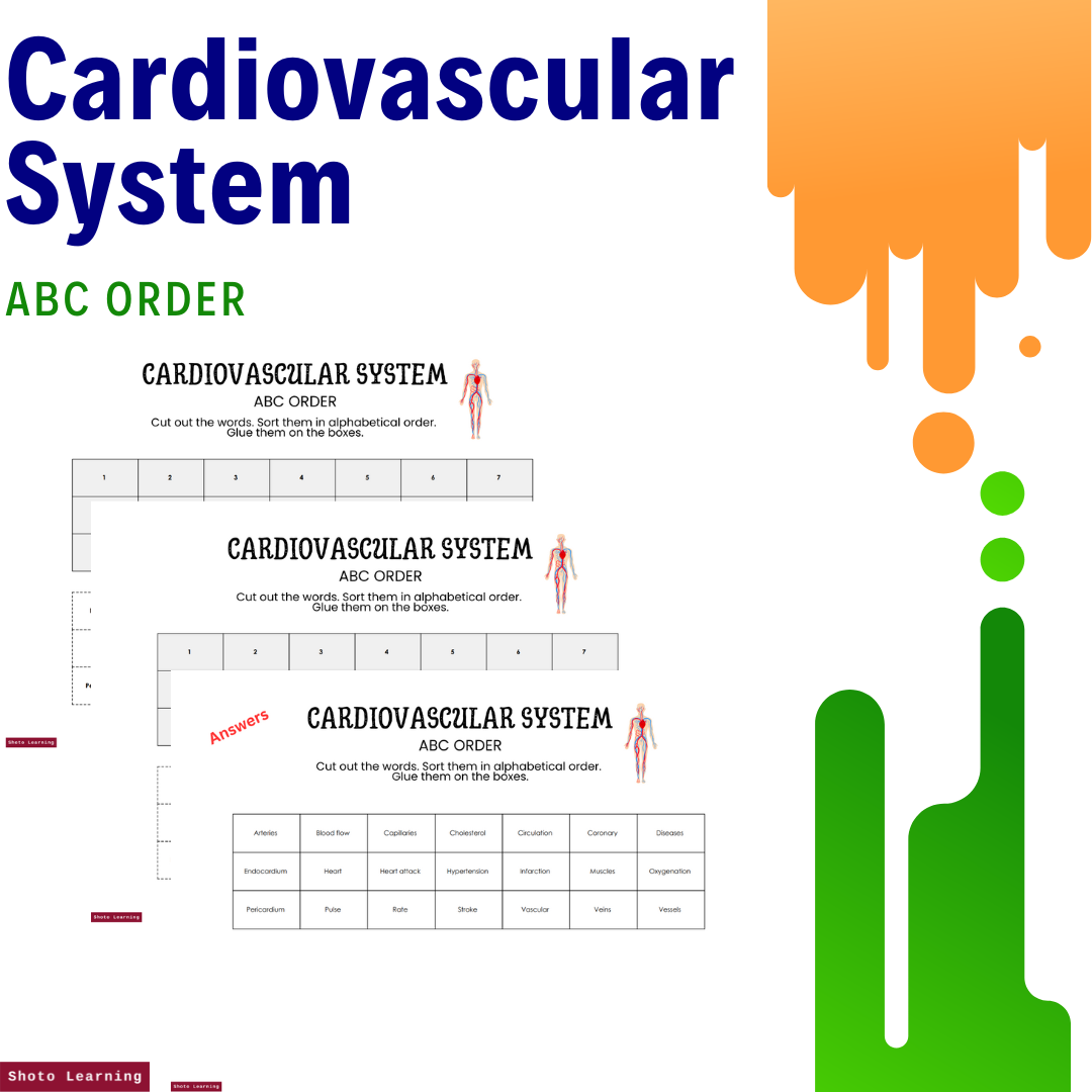 Cardiovascular System ABC Order Worksheet: Engaging Learning for Heart ...