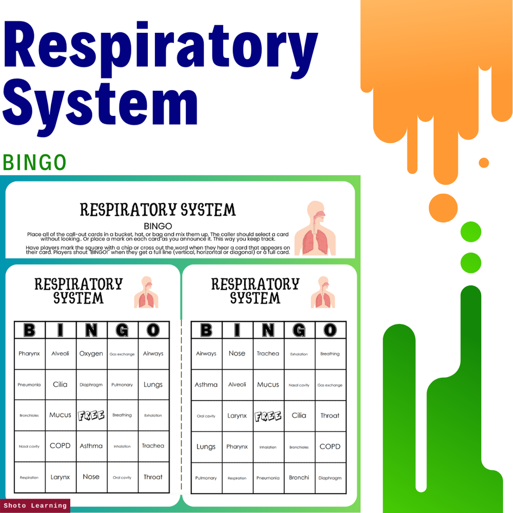 Respiratory System Matching Worksheet: A Match Made in Lungs