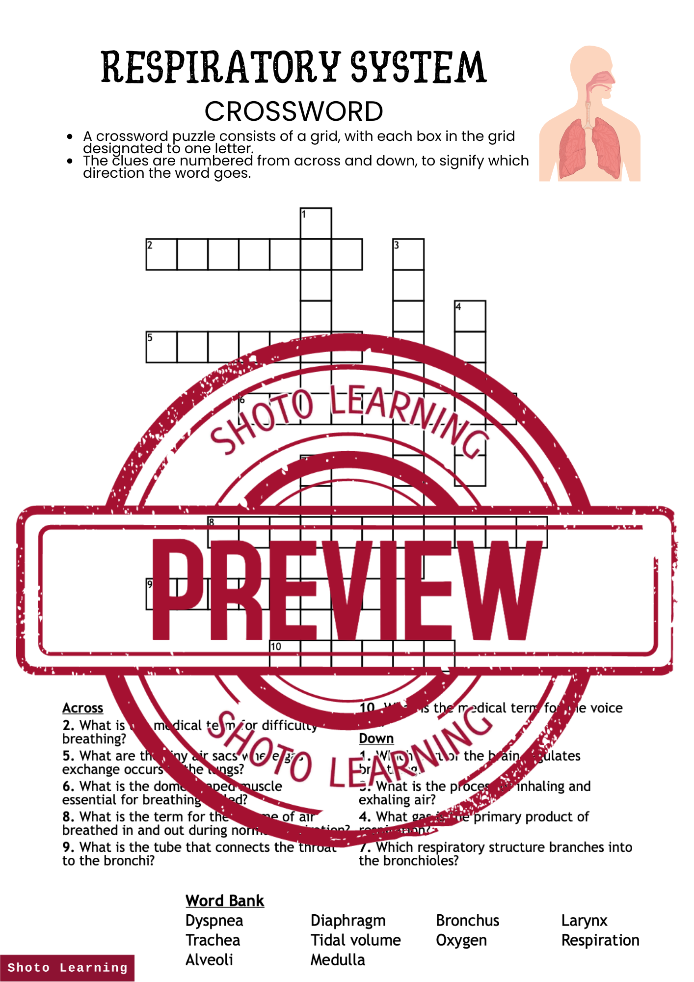 Cardiovascular System Crossword - Hearts and Arteries Challenging ...