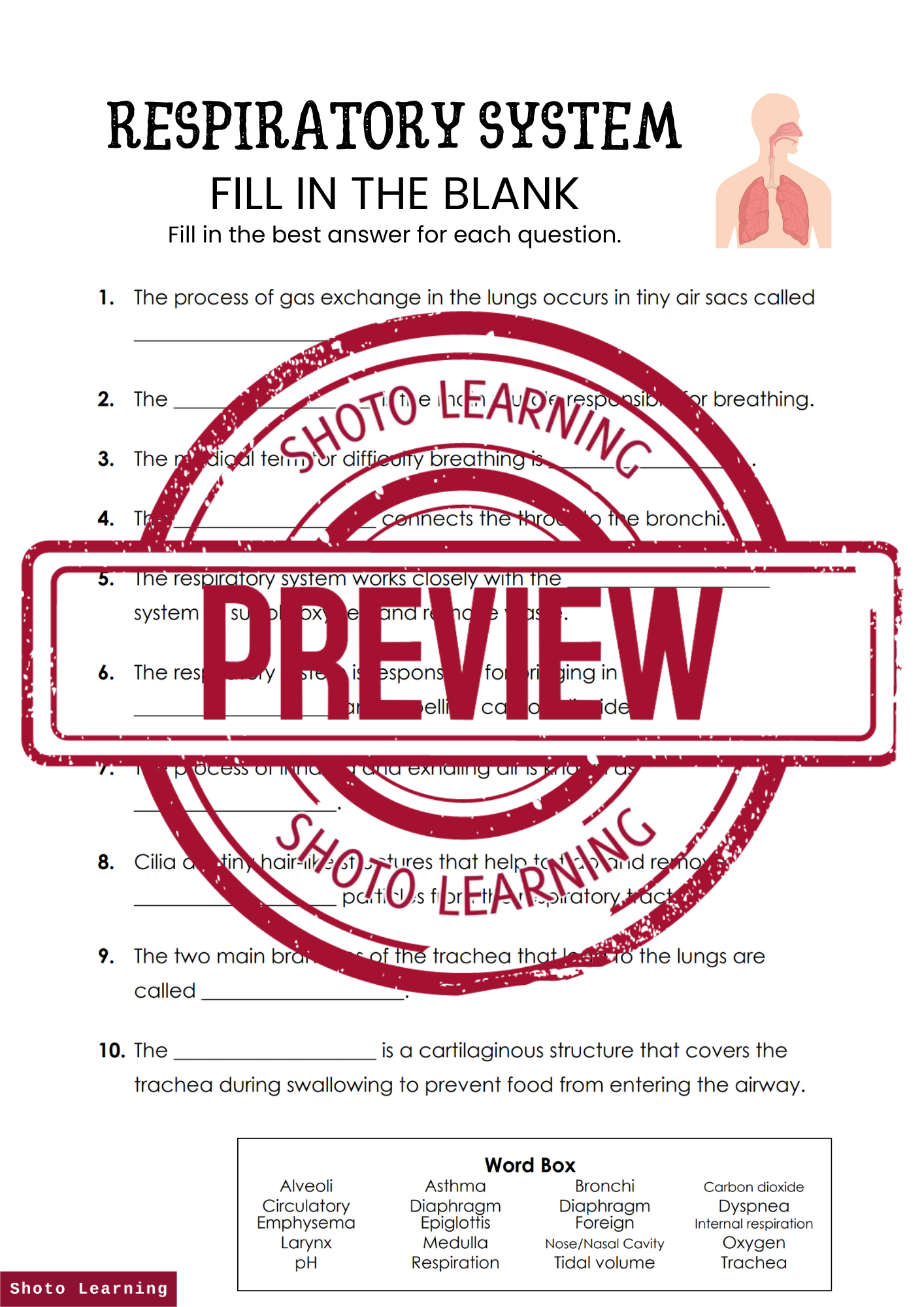 Respiratory System Fill in the Blank: Anatomy and Physiology of Your ...