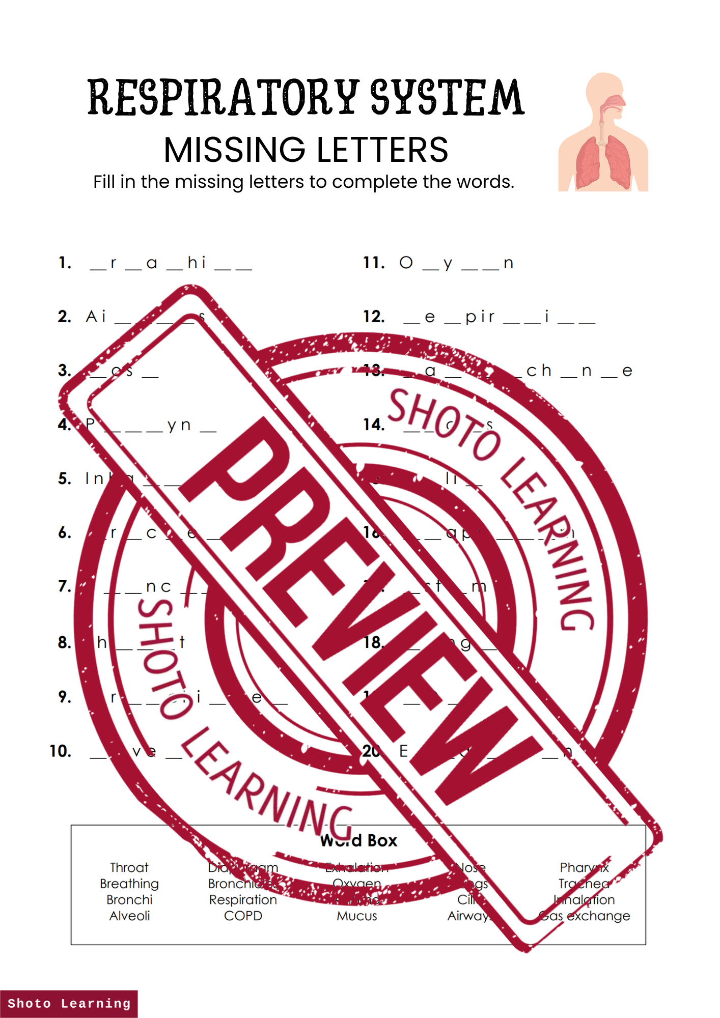 Respiratory System Matching Worksheet: A Match Made in Lungs