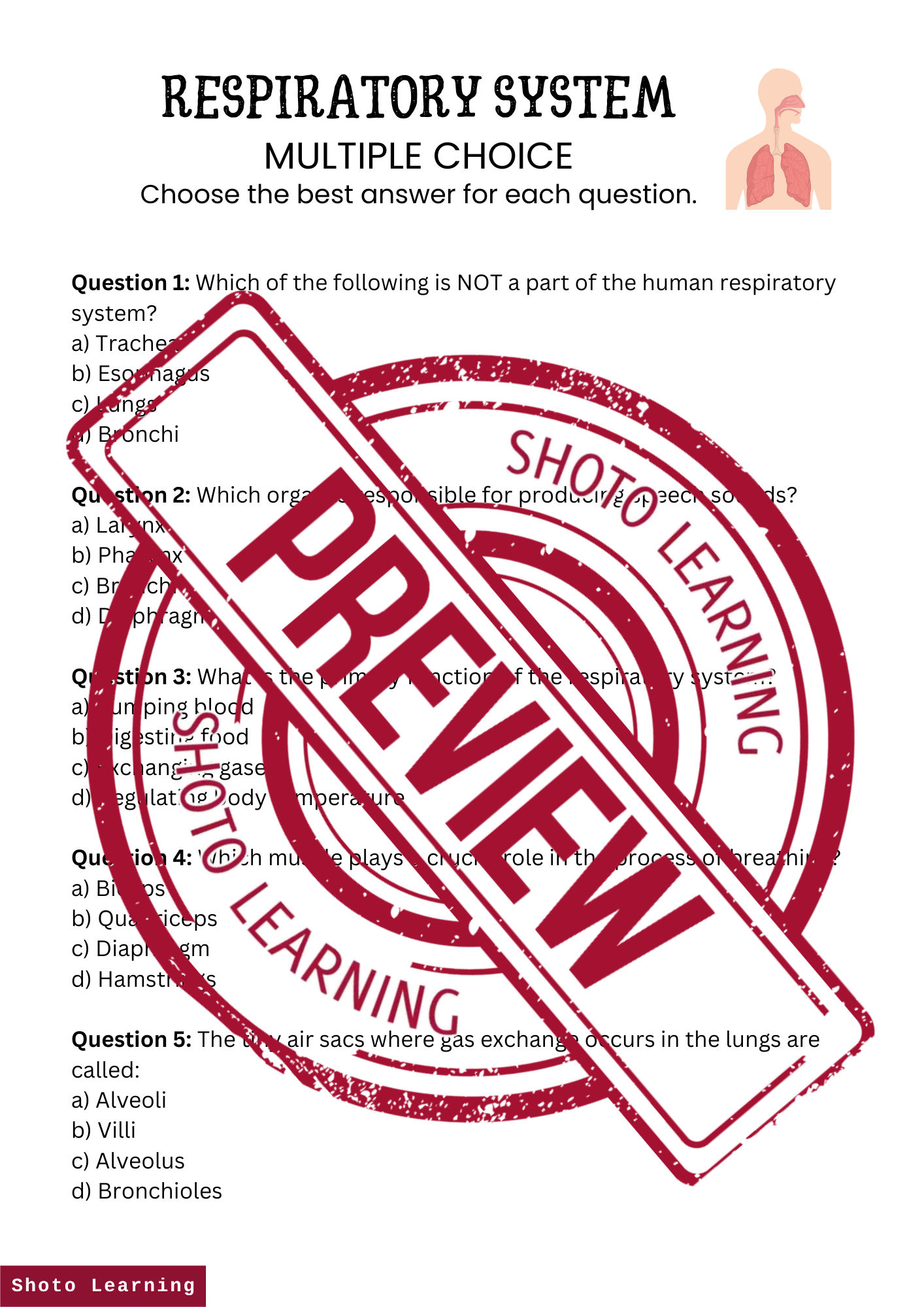 Small Intestine Mastery: Multiple Choice Worksheet for Digestive ...