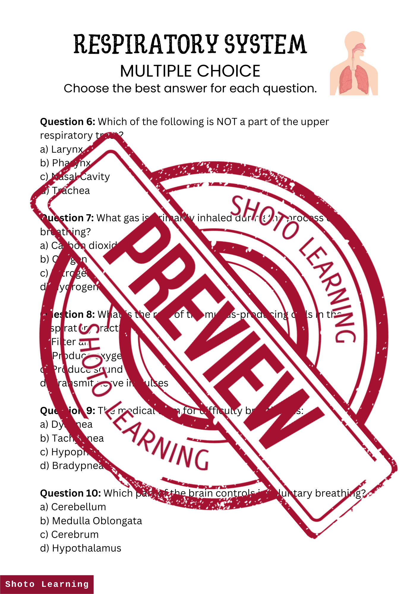 Cardiovascular System: A Multiple Choice Adventure — Shoto Learning ...