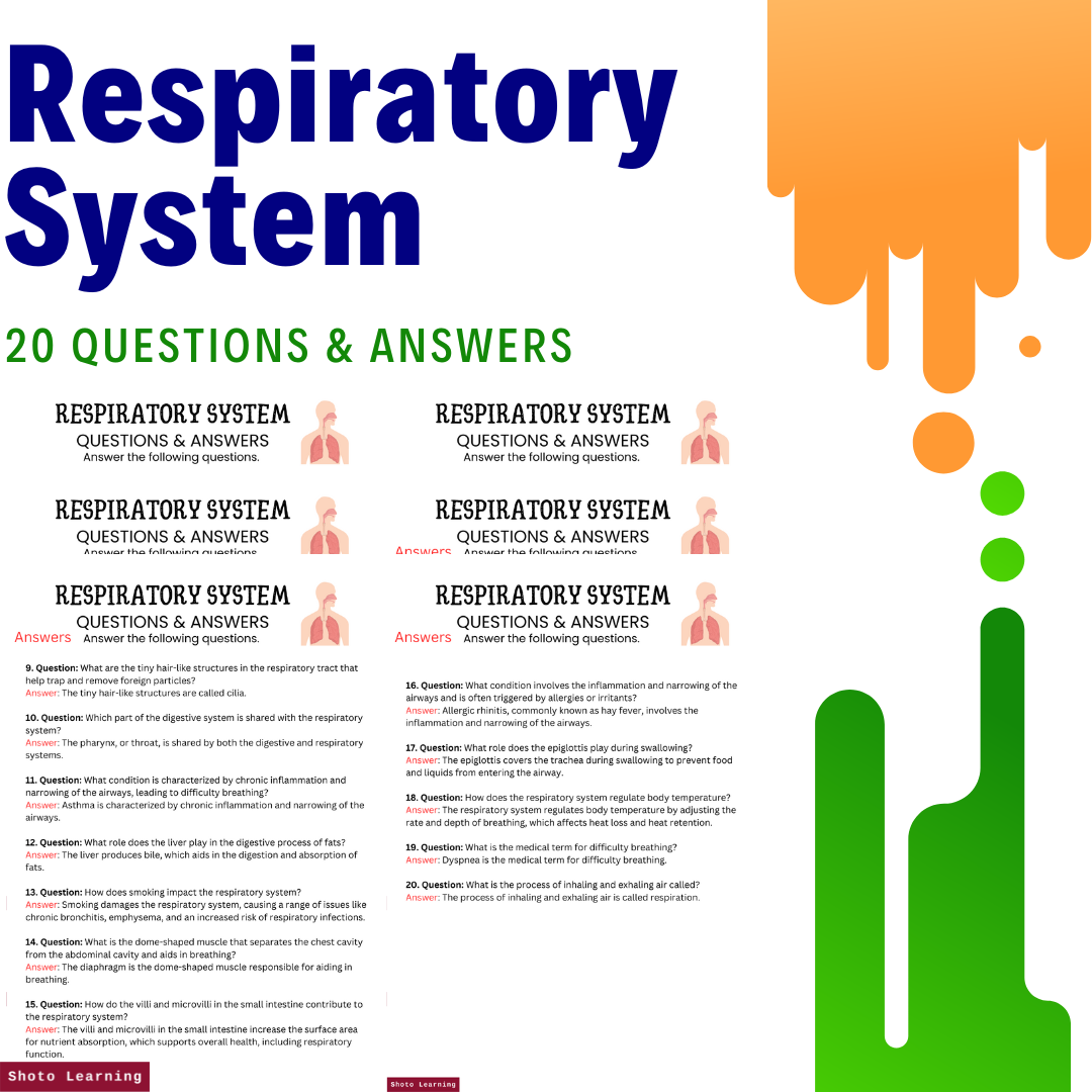 Respiratory System — Shoto Learning | English | Math | Science Worksheets