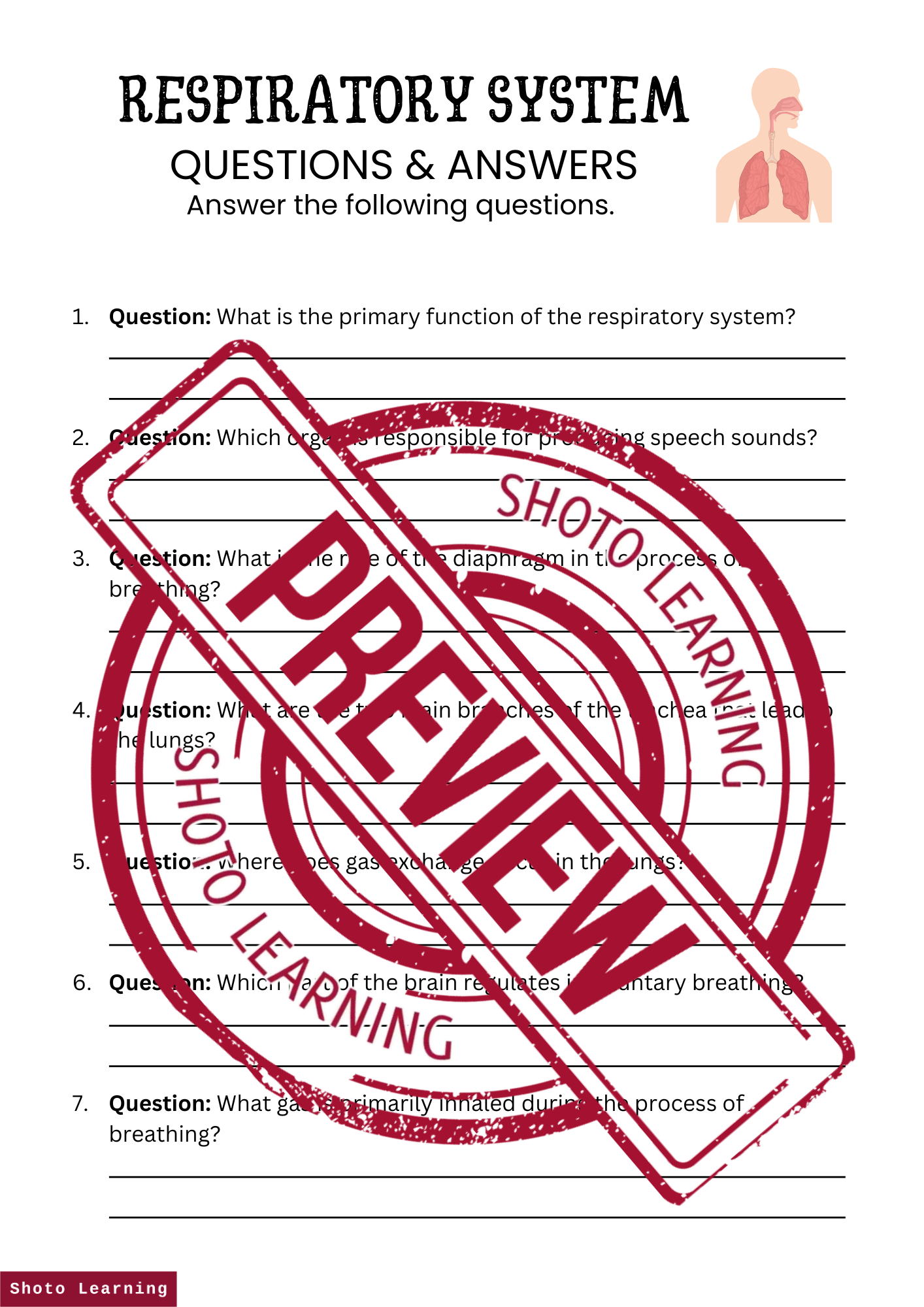 Respiratory System Fill in the Blank: Anatomy and Physiology of Your Lungs