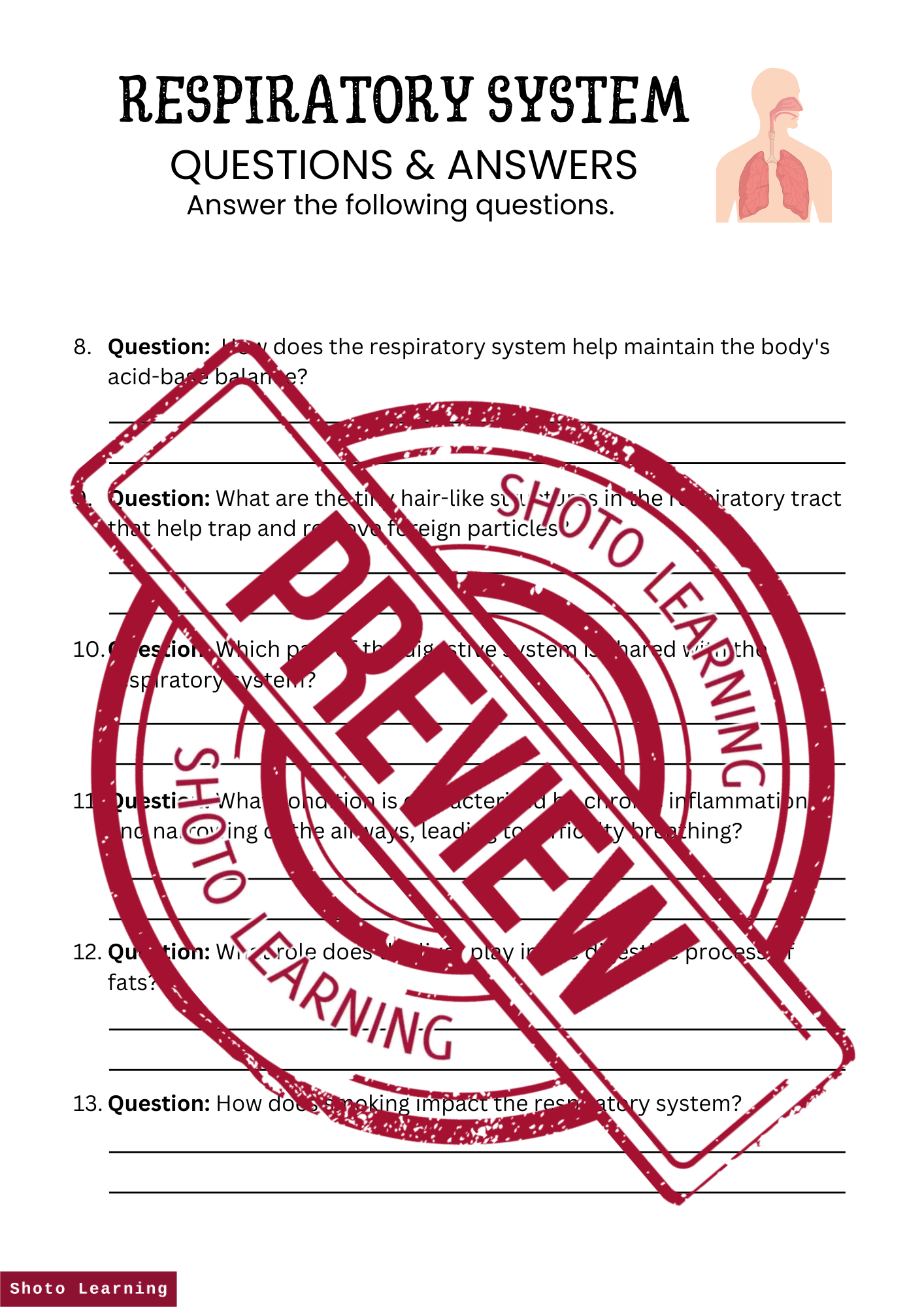 Respiratory System Fill in the Blank: Anatomy and Physiology of Your Lungs