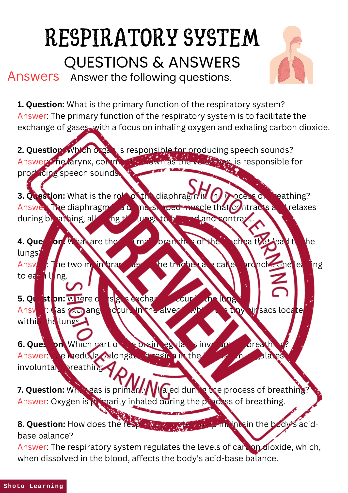 Respiratory System Fill in the Blank: Anatomy and Physiology of Your Lungs