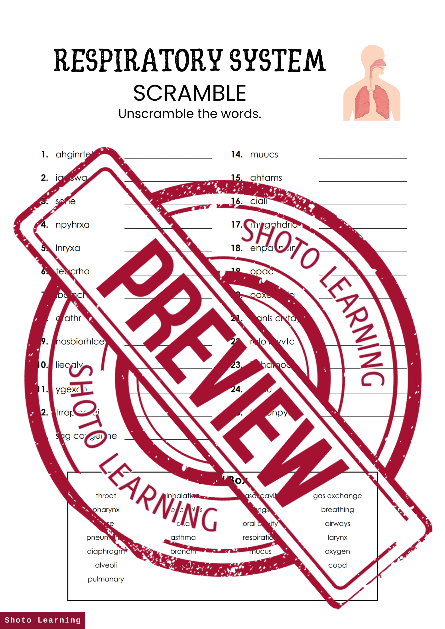 5 SENSES AND NERVOUS SYSTEM SCIENCE ACTIVITY SCRAMBLE WORDS UNSCRAMBLE ...