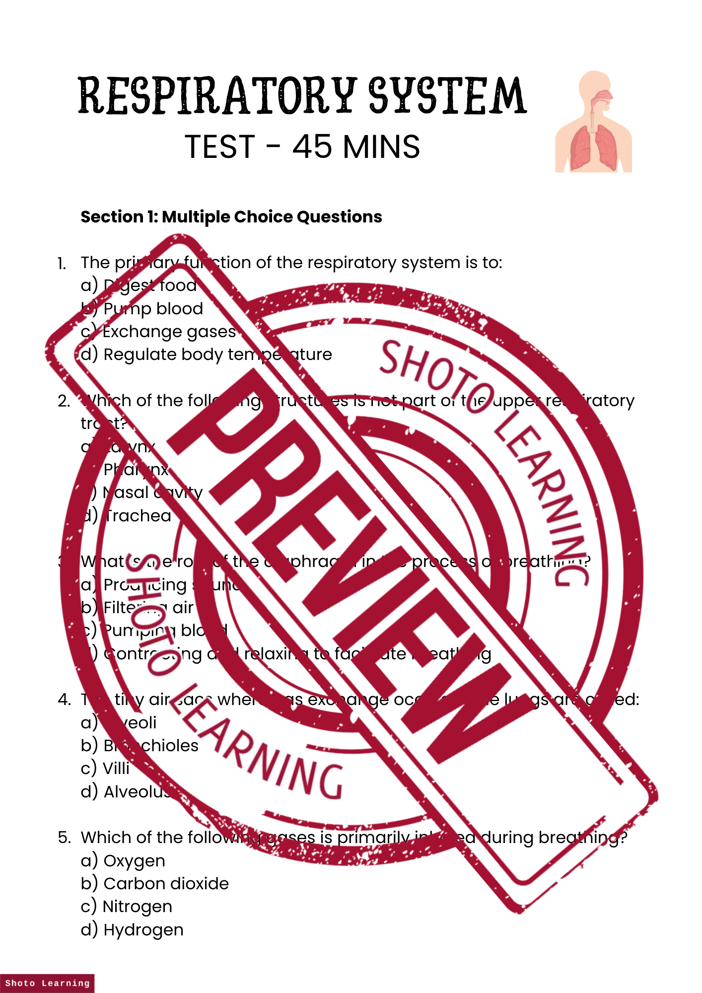 Respiratory System ABC Order: A Fun and Educational Way to Learn About ...