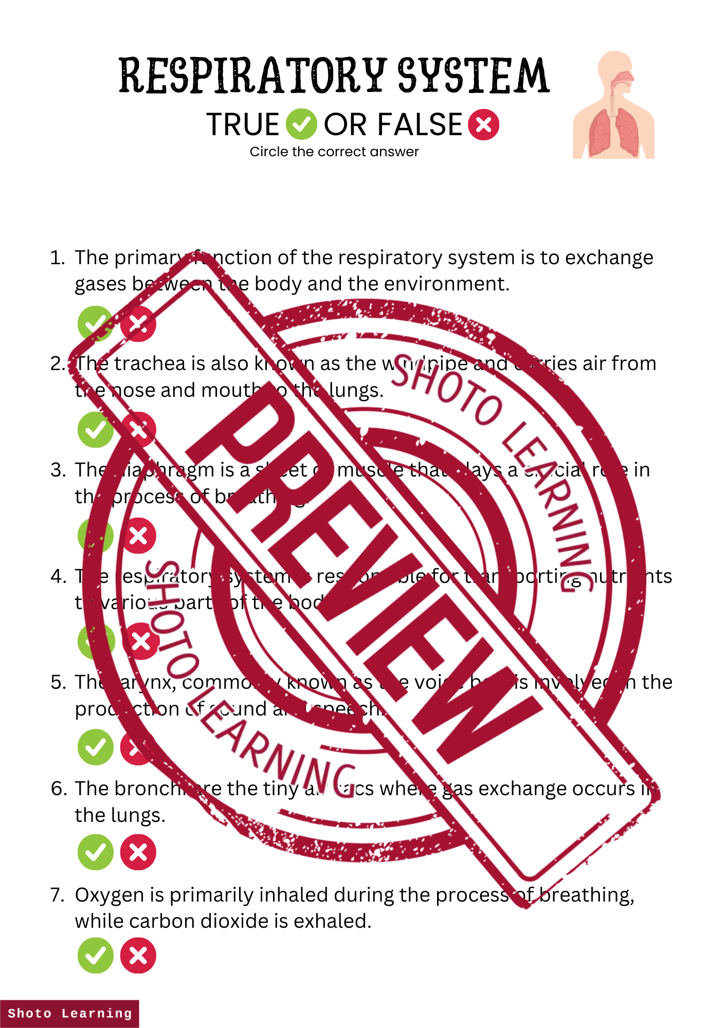 Genetics True or False Worksheet: Test Your Knowledge of Genetics ...