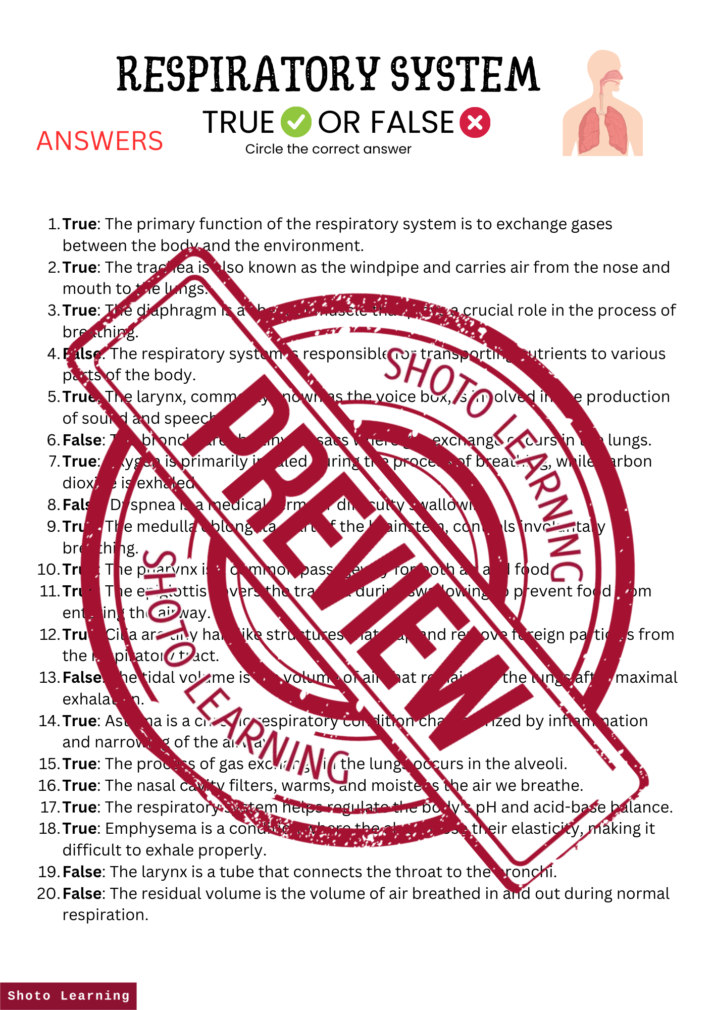 Digestive Fact or Fiction: True or False Worksheet on Gut Health ...