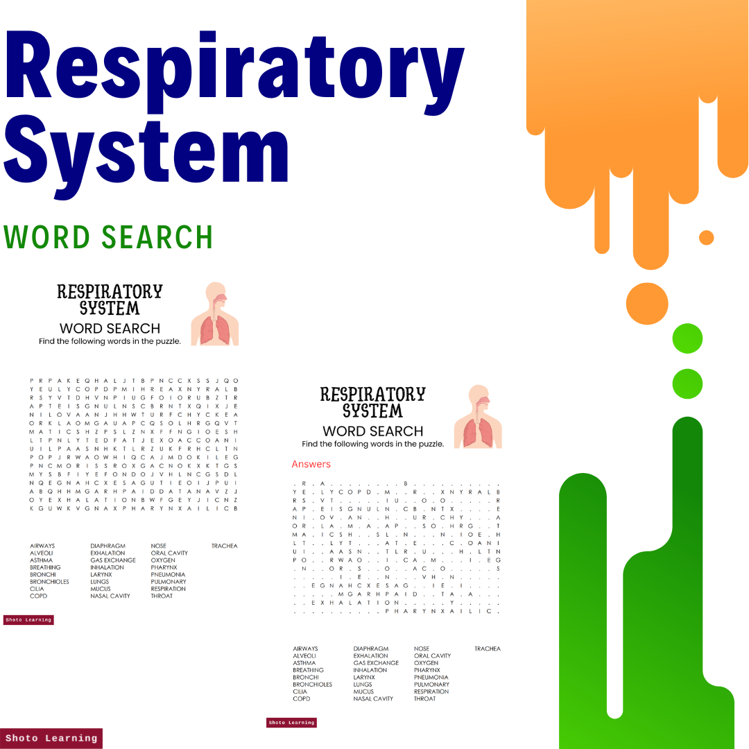 Respiratory System Word Search: A Fun and Educational Puzzle for Kids ...