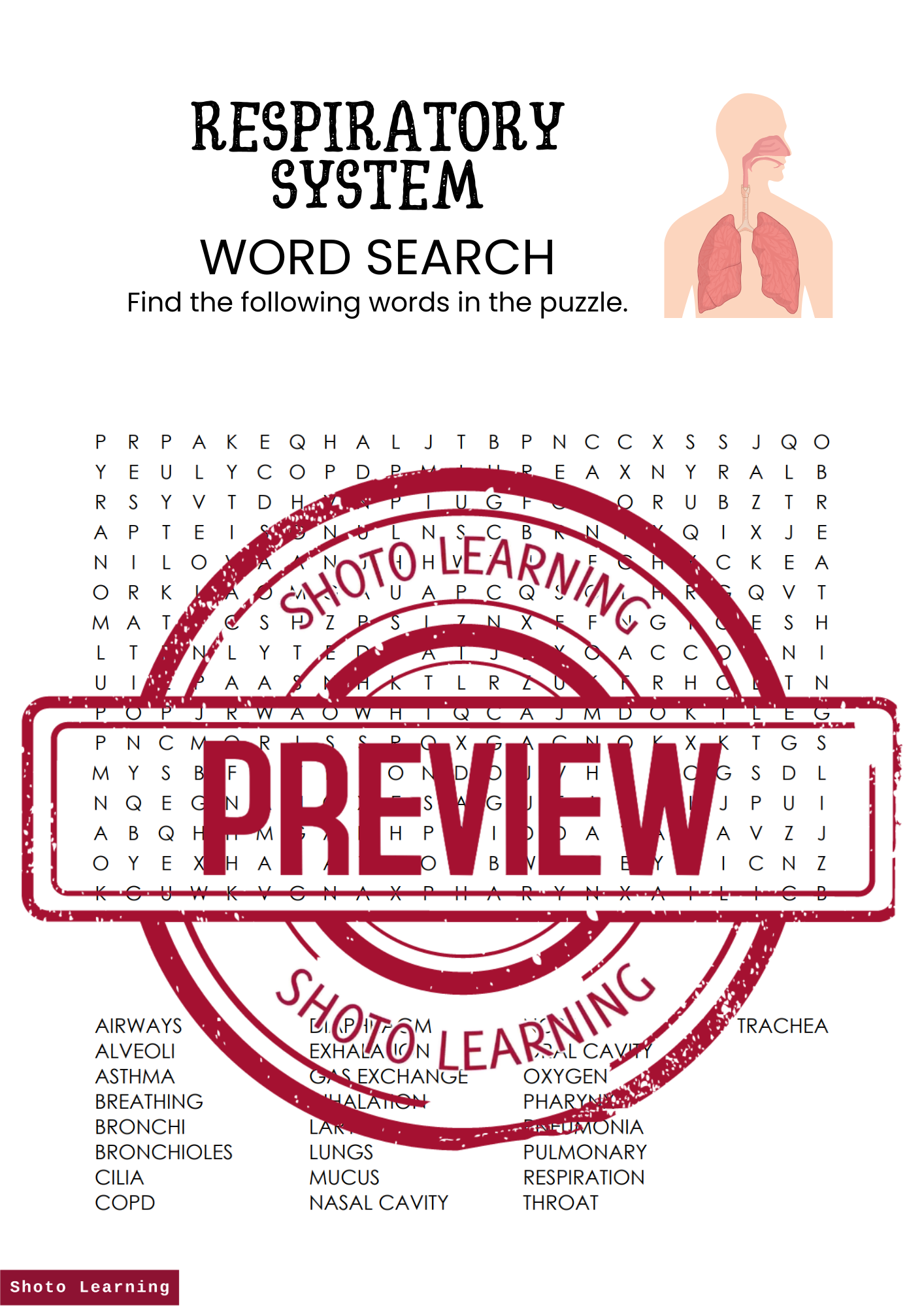 Discover Ecology Word Search: Engaging Puzzle for Exploring ...