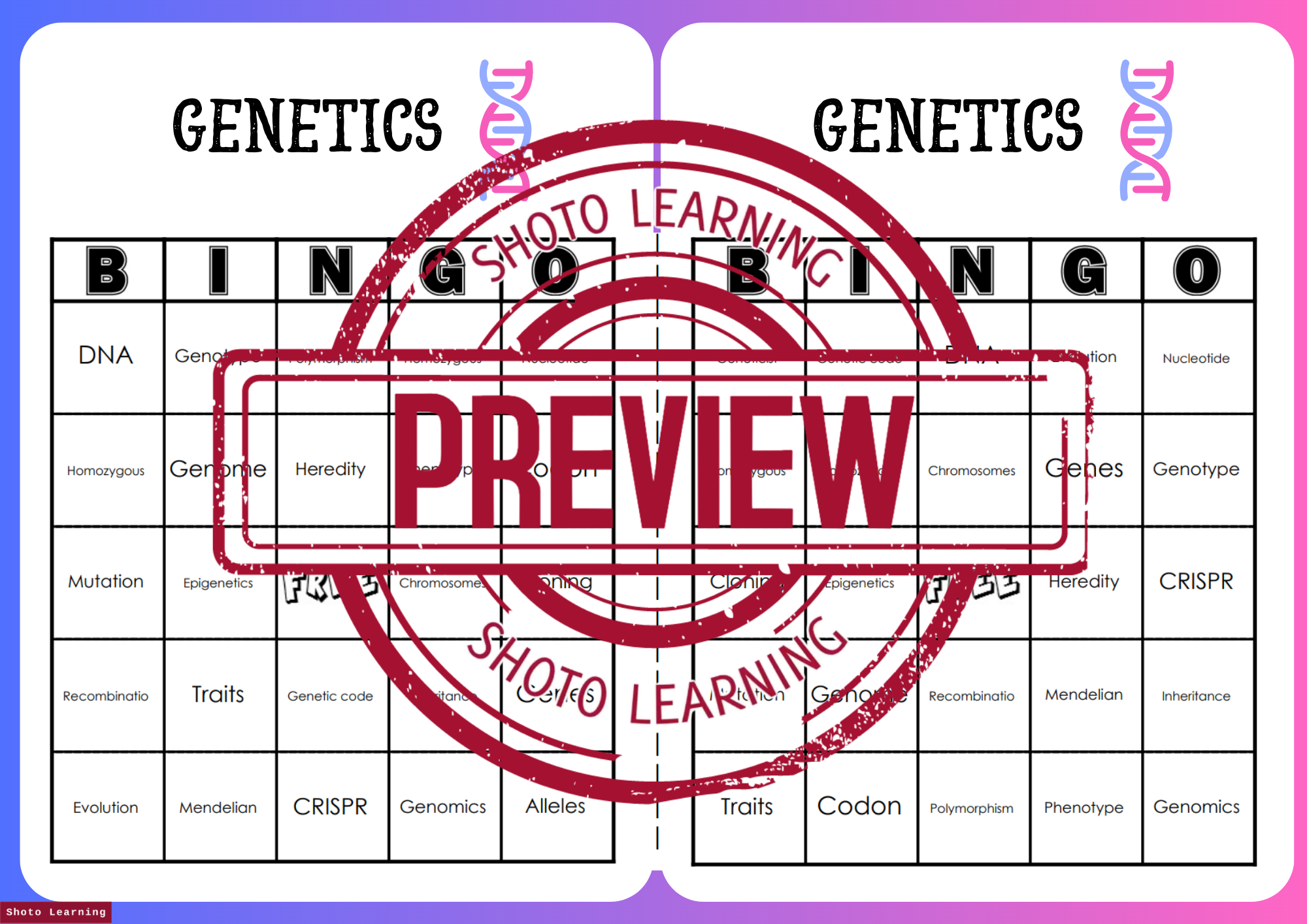 Newton's Laws of Motion Bingo: Engaging Fun with Fundamental Physics ...
