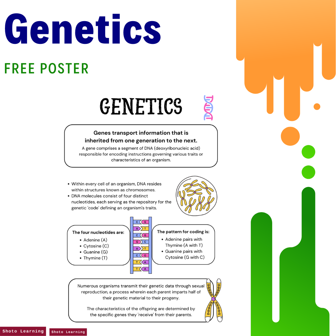 Free Genetics Poster: Learn About Genetics with This Visual Guide!