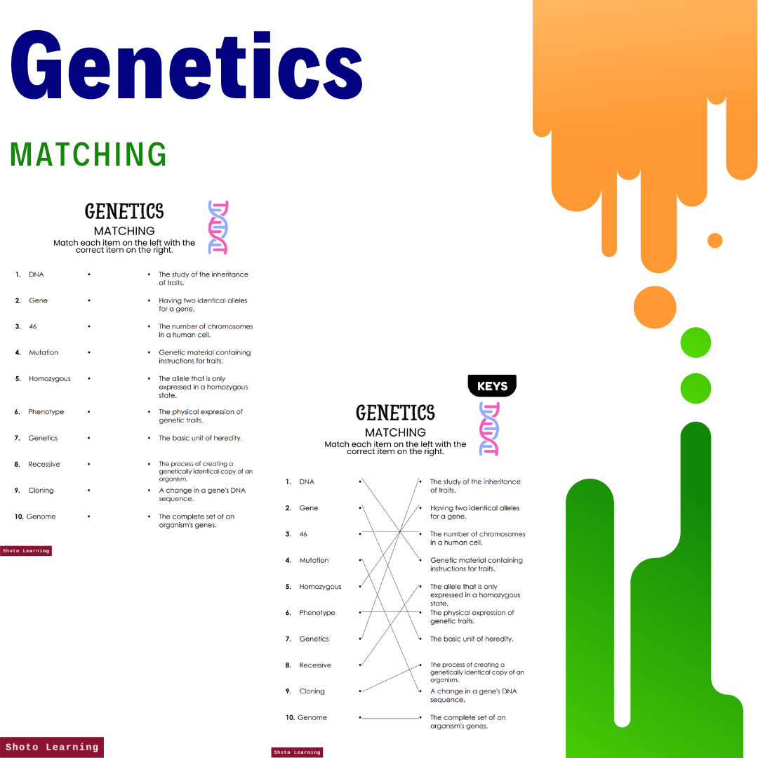 Genetics Match-Master: Dive into DNA with our Engaging Matching ...