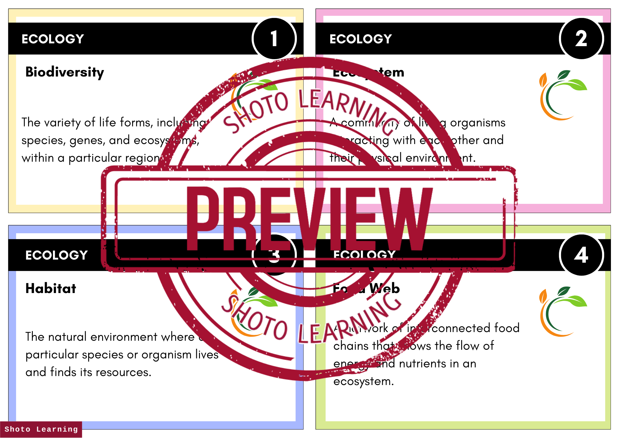 Ecological Explorer's Worksheet Bundle: Discover the Wonders of Ecology ...