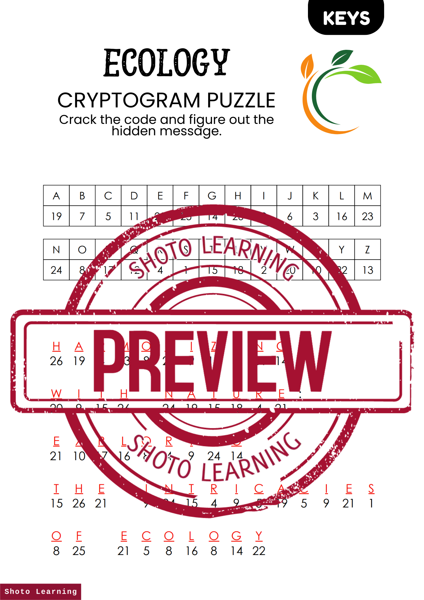 Crack the Code: The Respiratory System Cryptogram — Shoto Learning ...