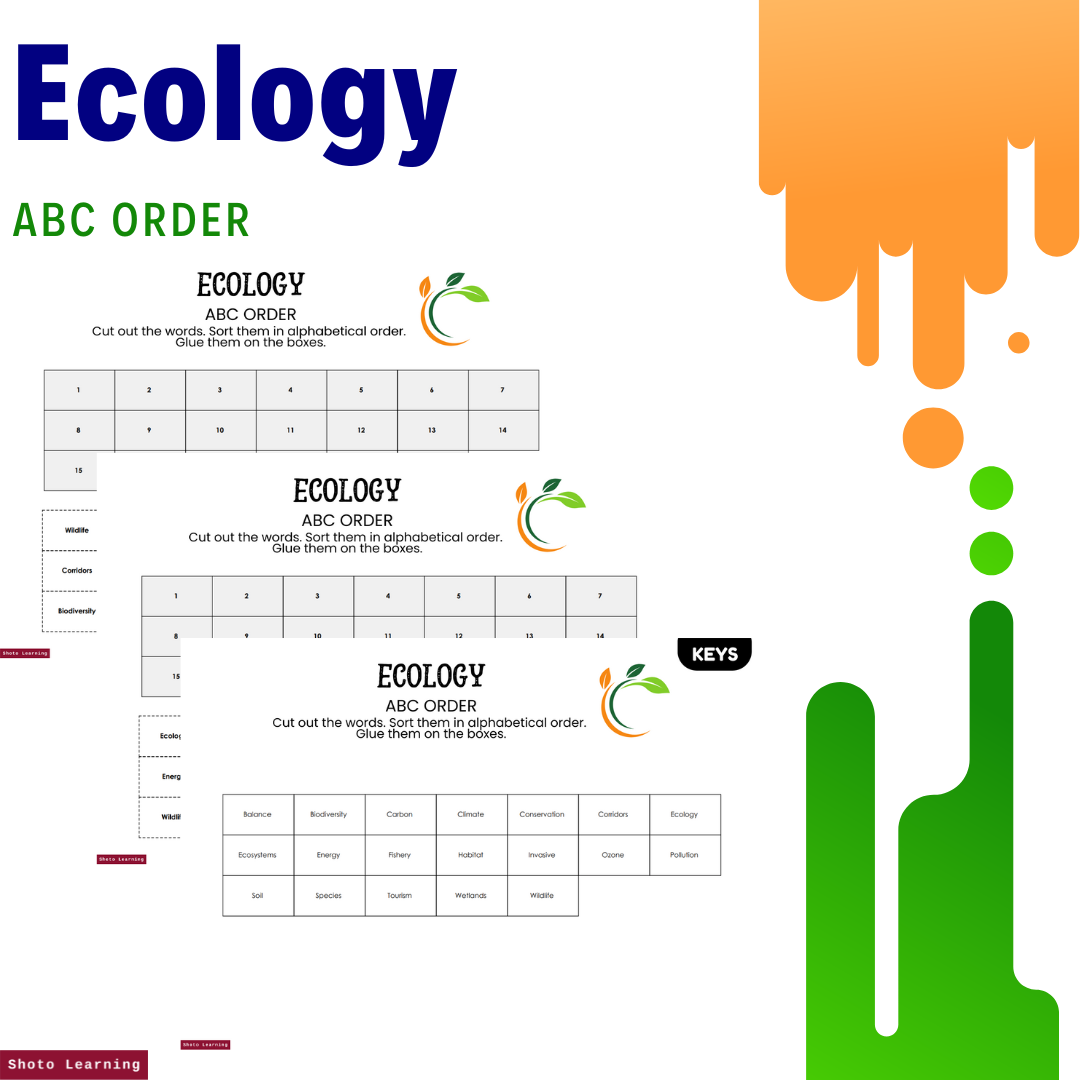 Free Cardiovascular System Cut and Paste Diagram — Shoto Learning ...