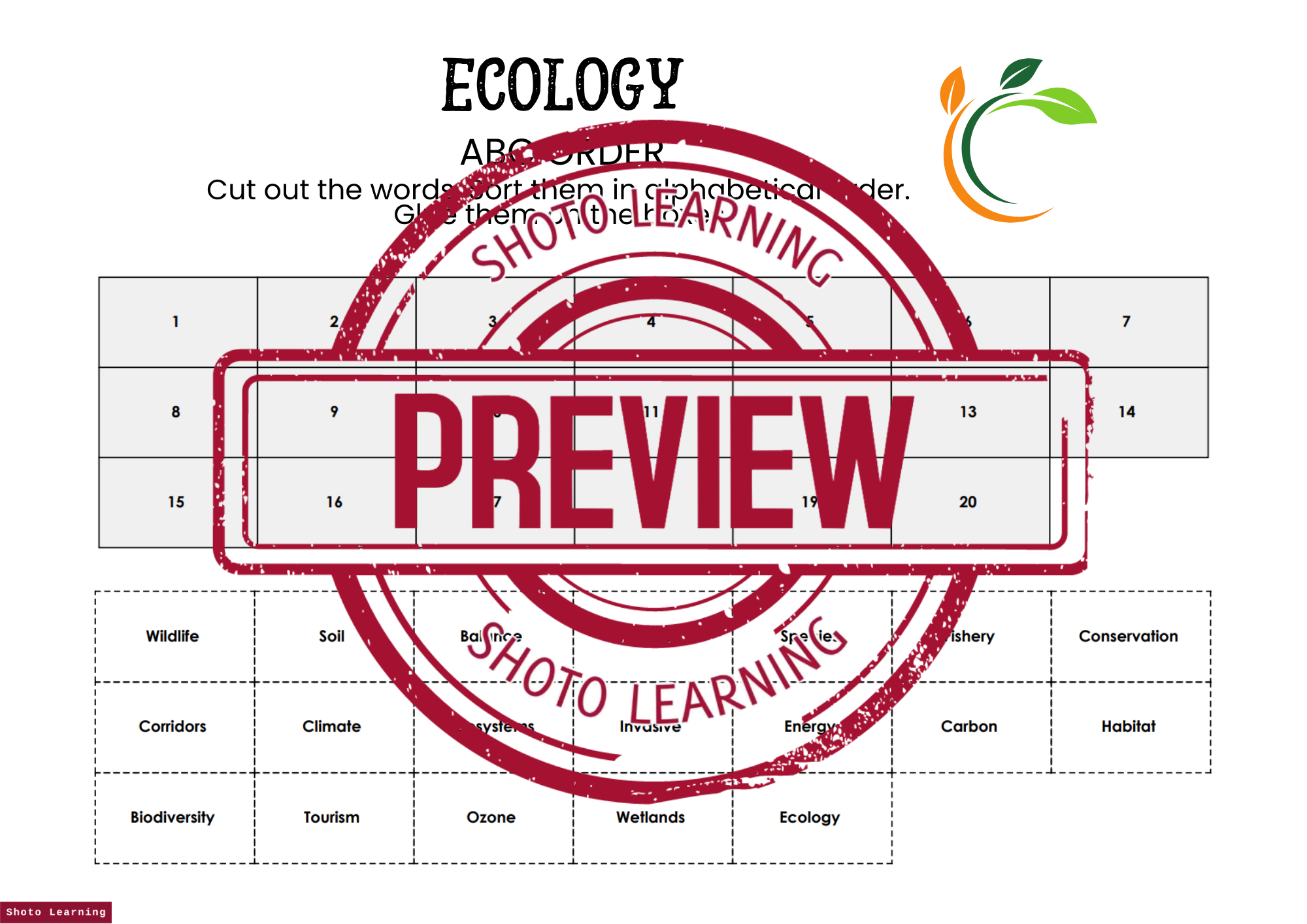 Free Cardiovascular System Cut and Paste Diagram — Shoto Learning ...