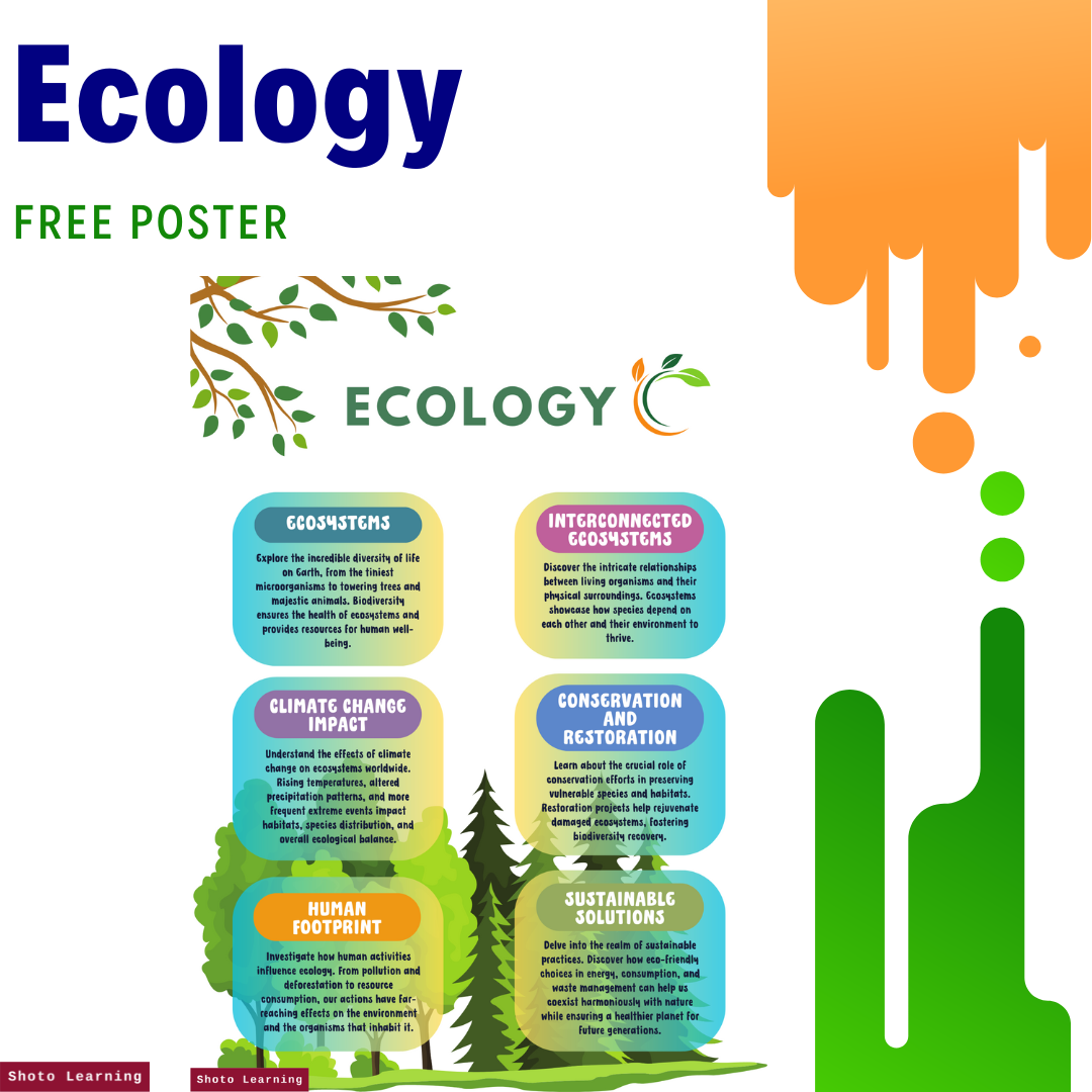 Learn About the Digestive System with This Free Poster — Shoto Learning ...