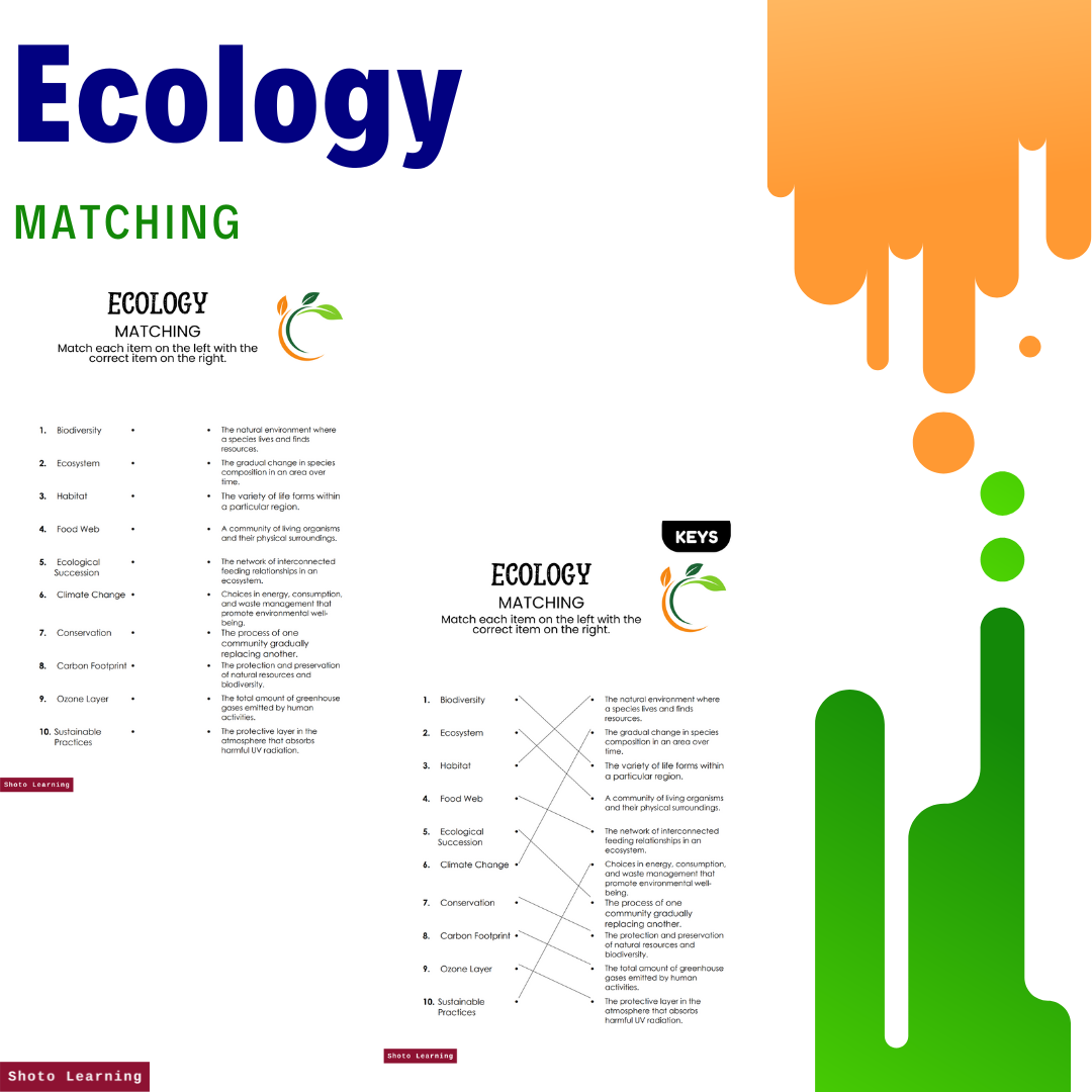 Ecology Essentials: Matching Worksheet on Understanding the Basics ...