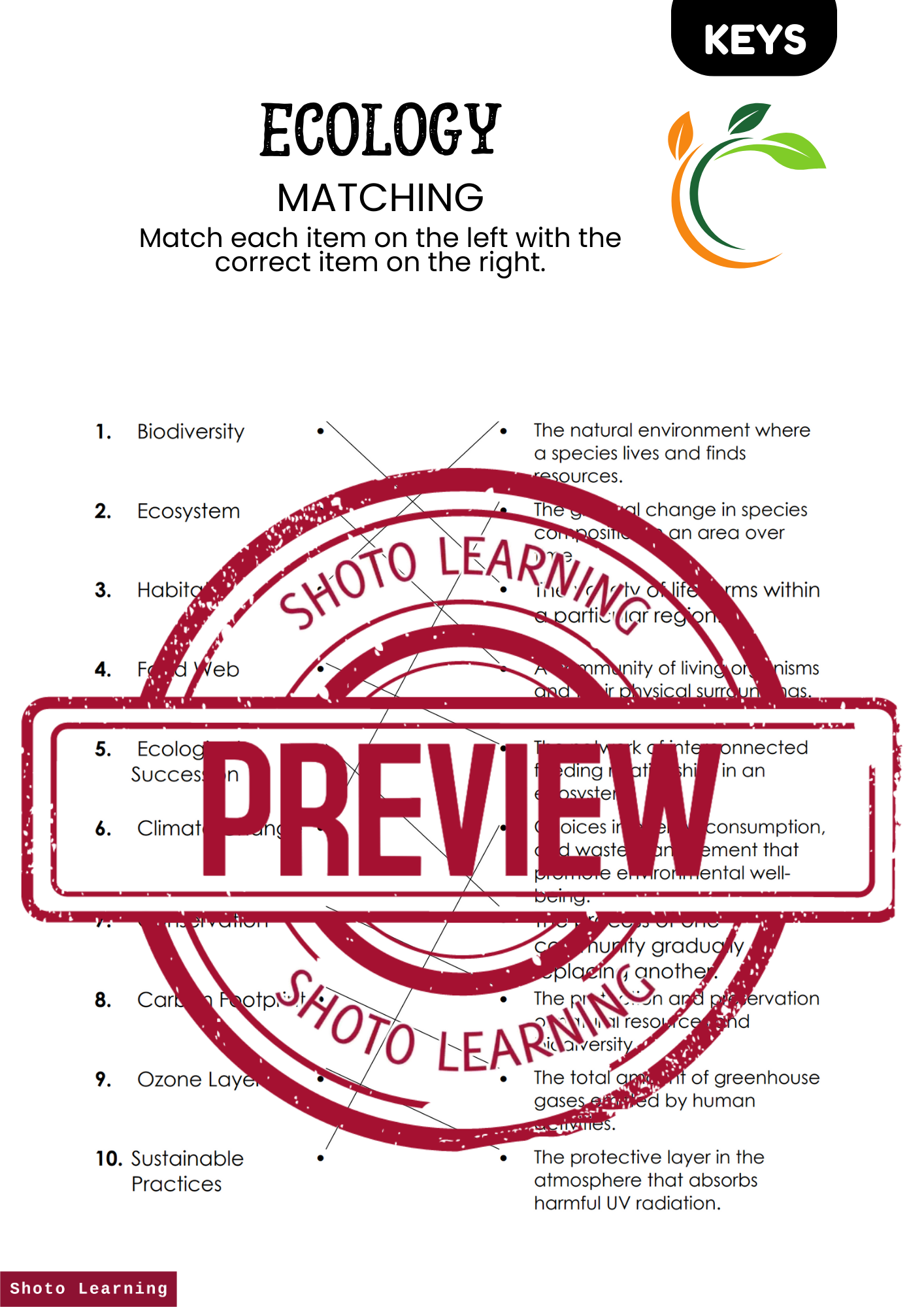 Ecology Essentials: Matching Worksheet on Understanding the Basics ...