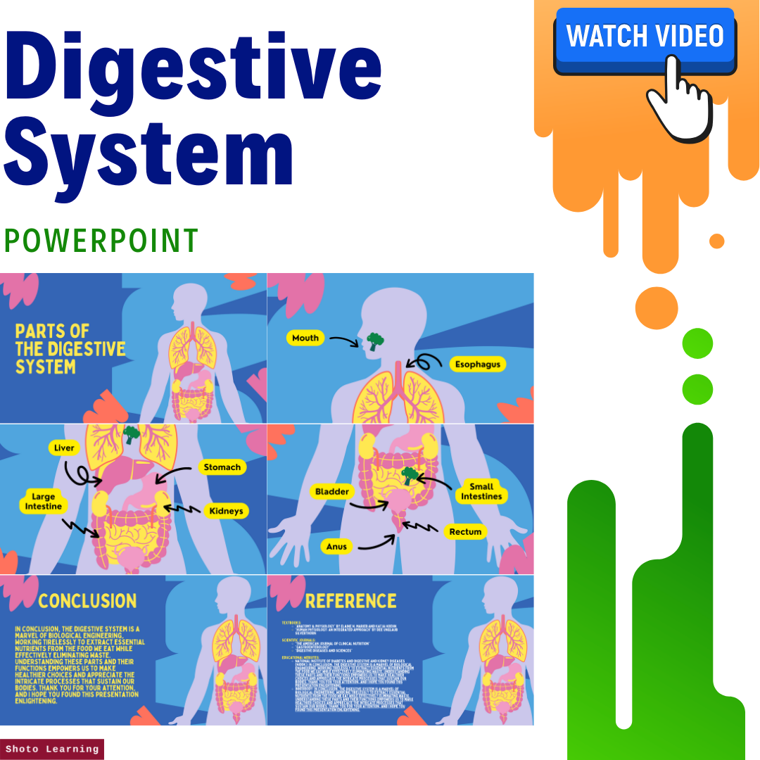 Digestive System: A PowerPoint Tour On How Food is Digested