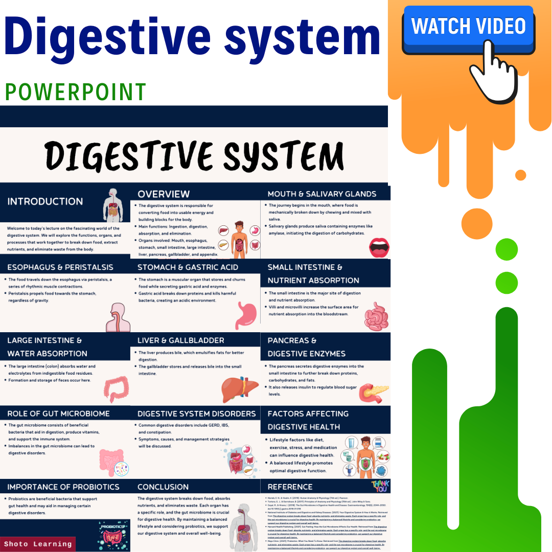 Digestive System: A Powerpoint Lecture Detailed Overview — Shoto ...
