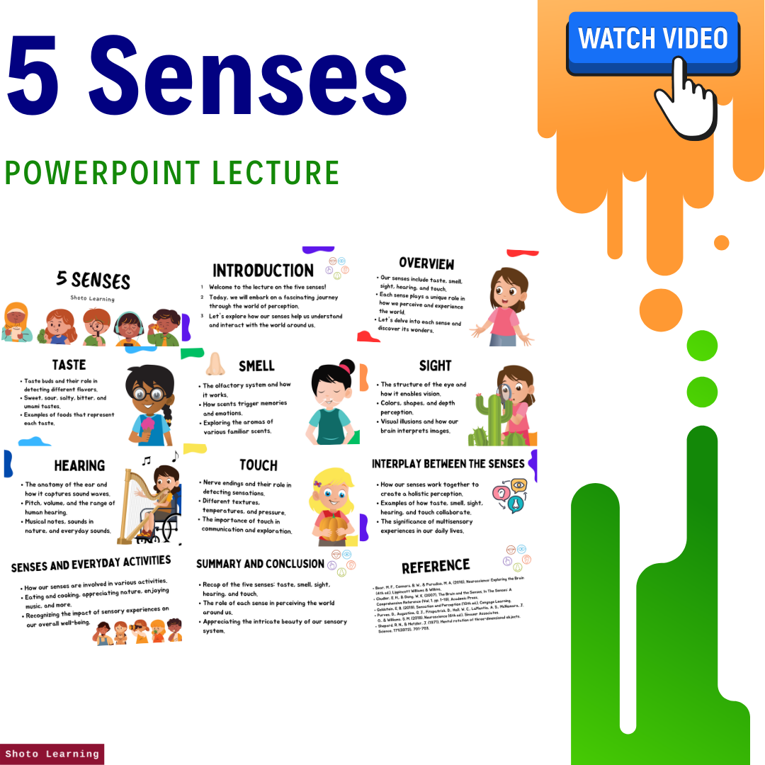 Immerse Your Audience: A PowerPoint Lecture on Exploring the 5 Senses ...