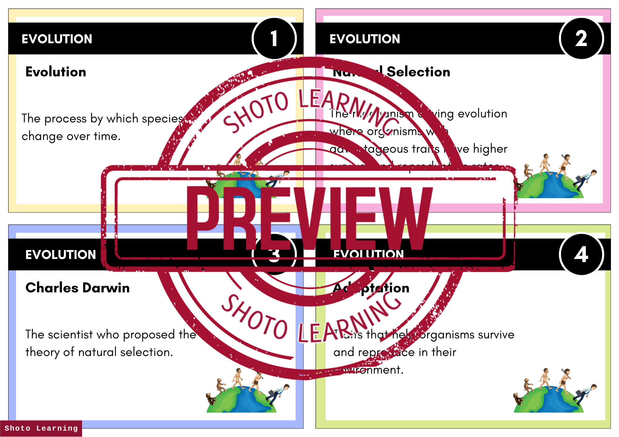 Evolution Flashcard Set: 20 Essential Concepts for Learning — Shoto ...