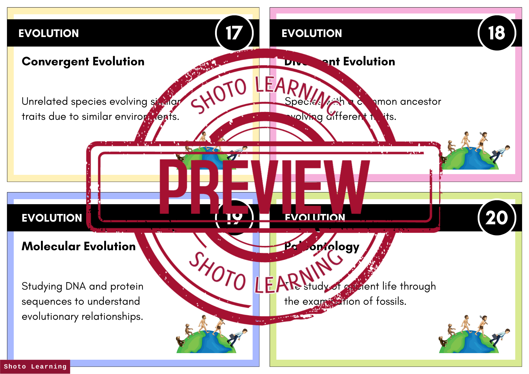 Evolution Flashcard Set: 20 Essential Concepts for Learning — Shoto ...