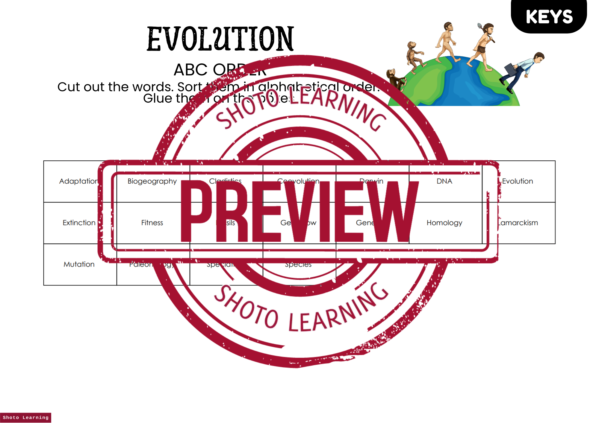 Anatomy and Physiology Poster - A Comprehensive Guide to the Human Body ...
