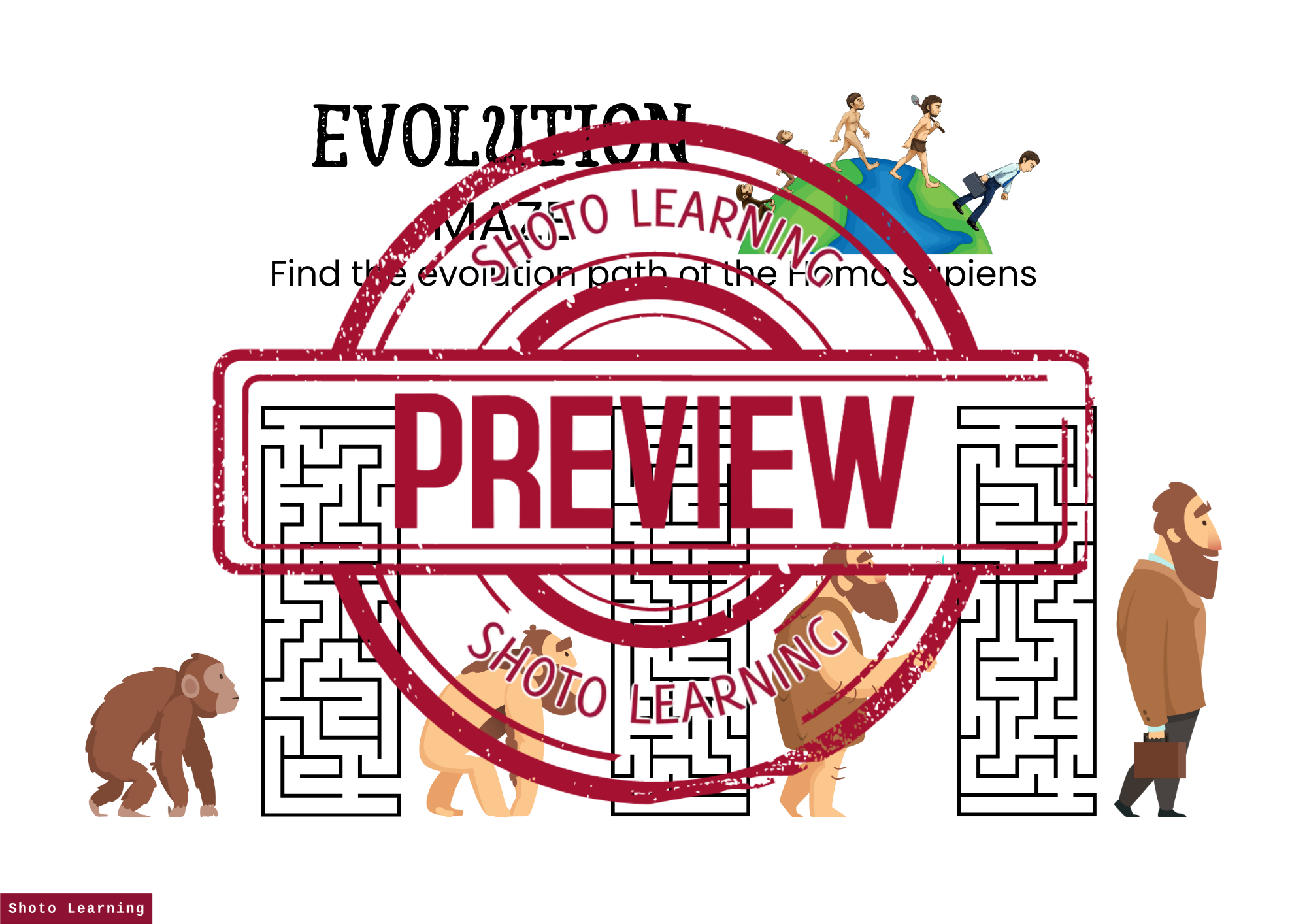 Respiratory System: The Lungs and How They Work - A Step-by-Step Poster ...