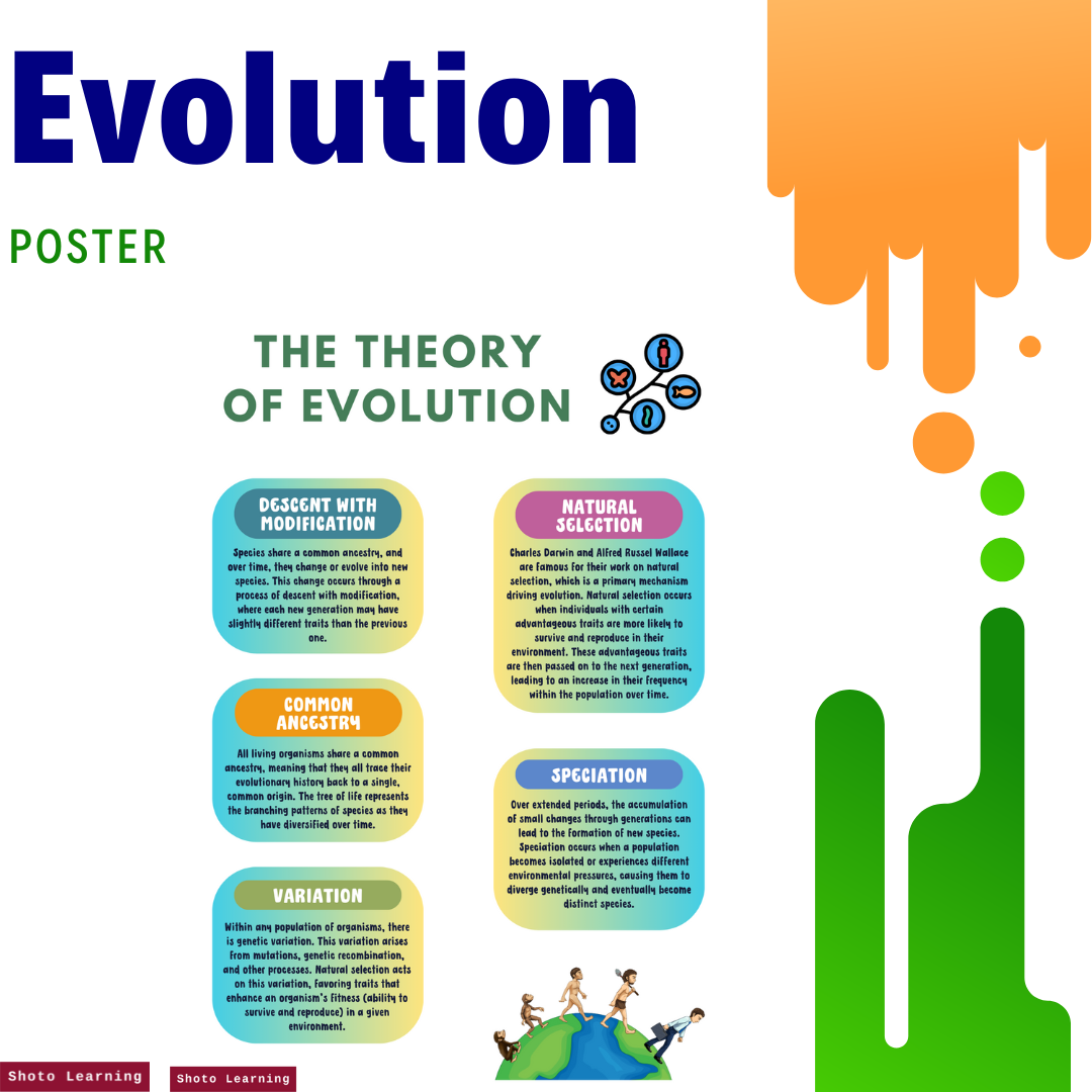 The Theory of Evolution Poster: Unveiling Life's Remarkable Story