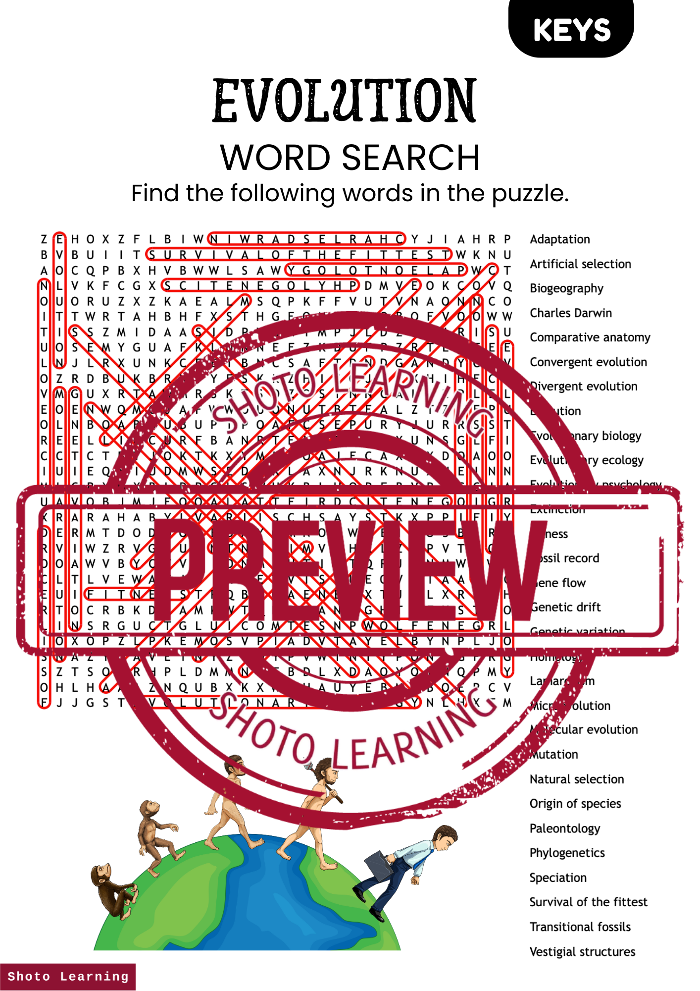 Evolutionary Word Search Worksheets: Explore the History of Life ...