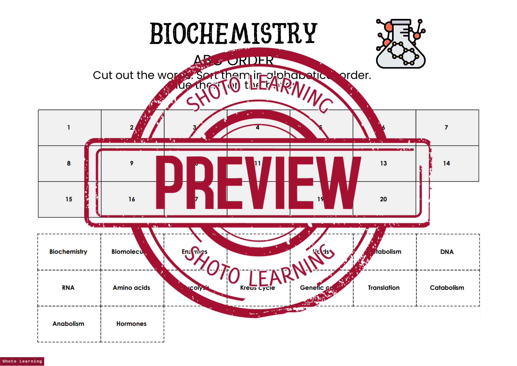 Respiratory System: The Lungs and How They Work - A Step-by-Step Poster ...
