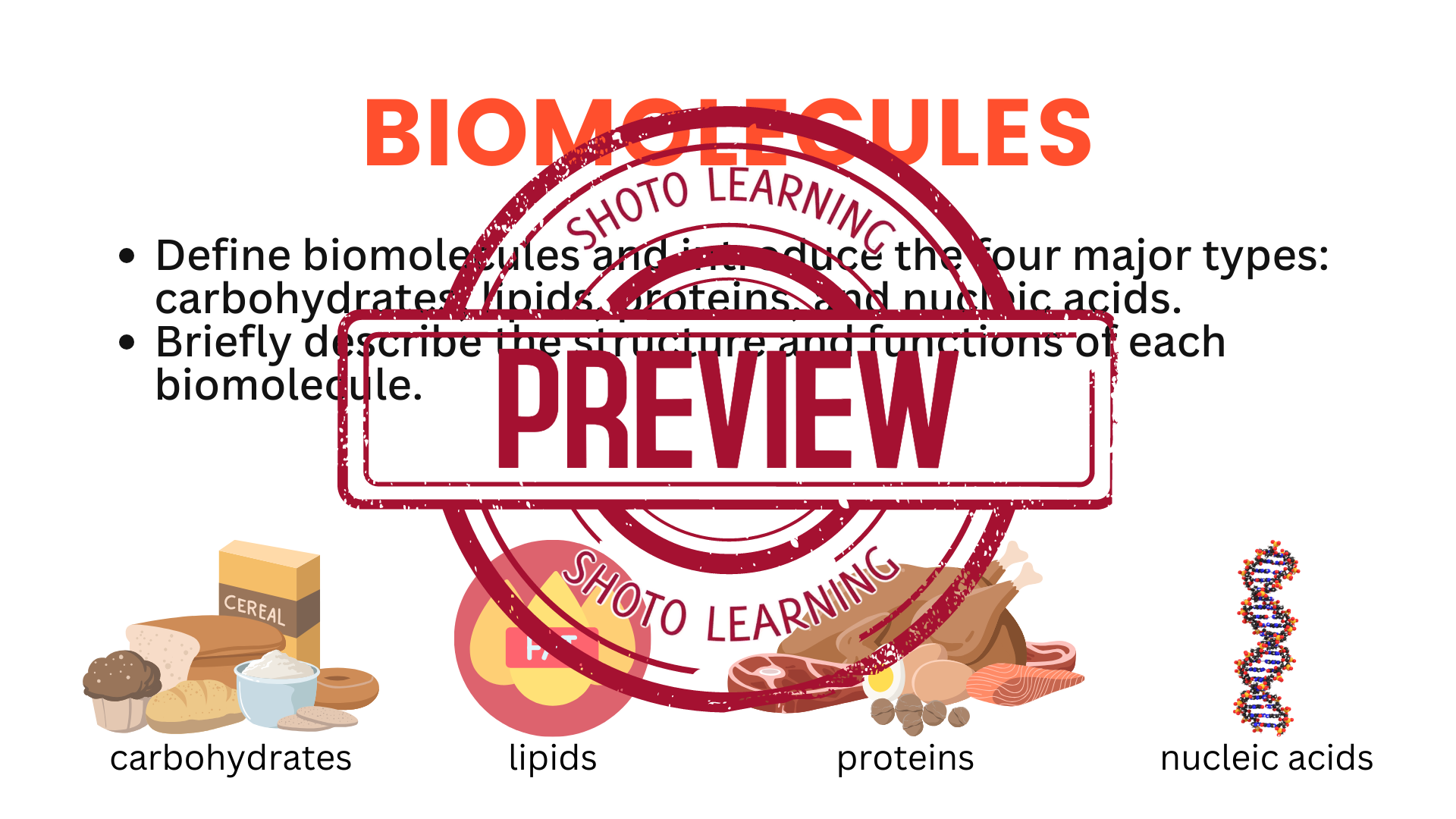 Biochemistry Flashcards: 20 Key Concepts for Mastery — Shoto Learning ...
