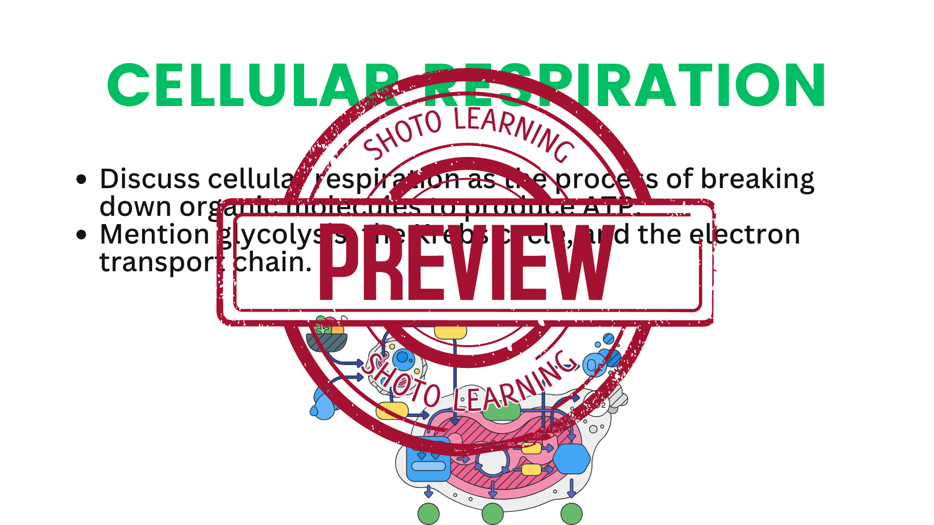 Unlocking Gut Health: Leaky Gut and Nutrient-Rich Foods PowerPoint ...