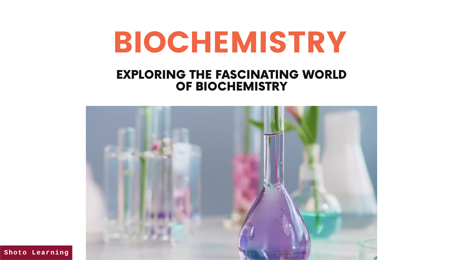 Unlocking Gut Health: Leaky Gut and Nutrient-Rich Foods PowerPoint ...