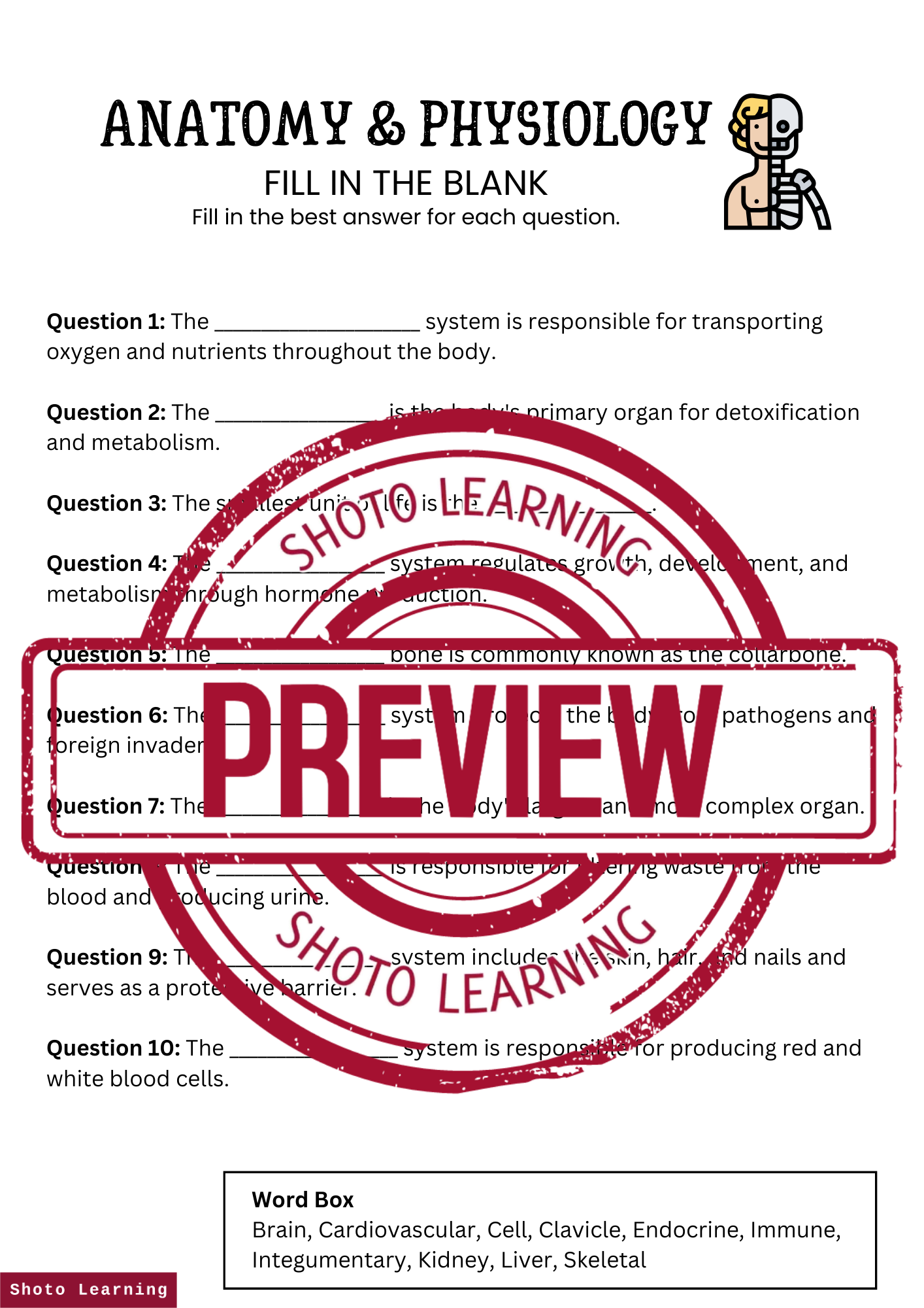 Sensory Bundle: Dive into the World of 5 Senses with Engaging ...