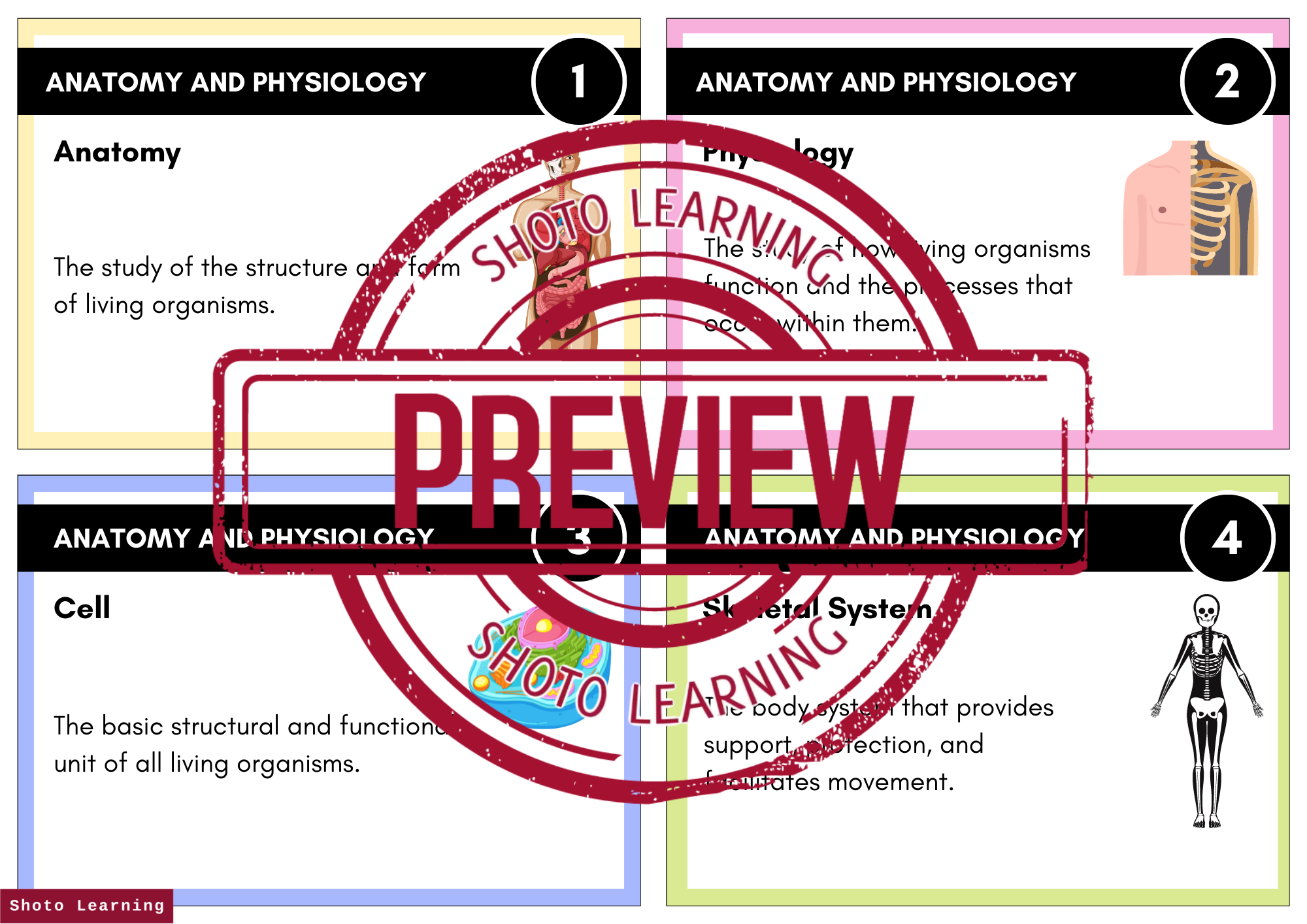 Eukaryotic Cells Learning Pack: Diverse Worksheets & Activities ...